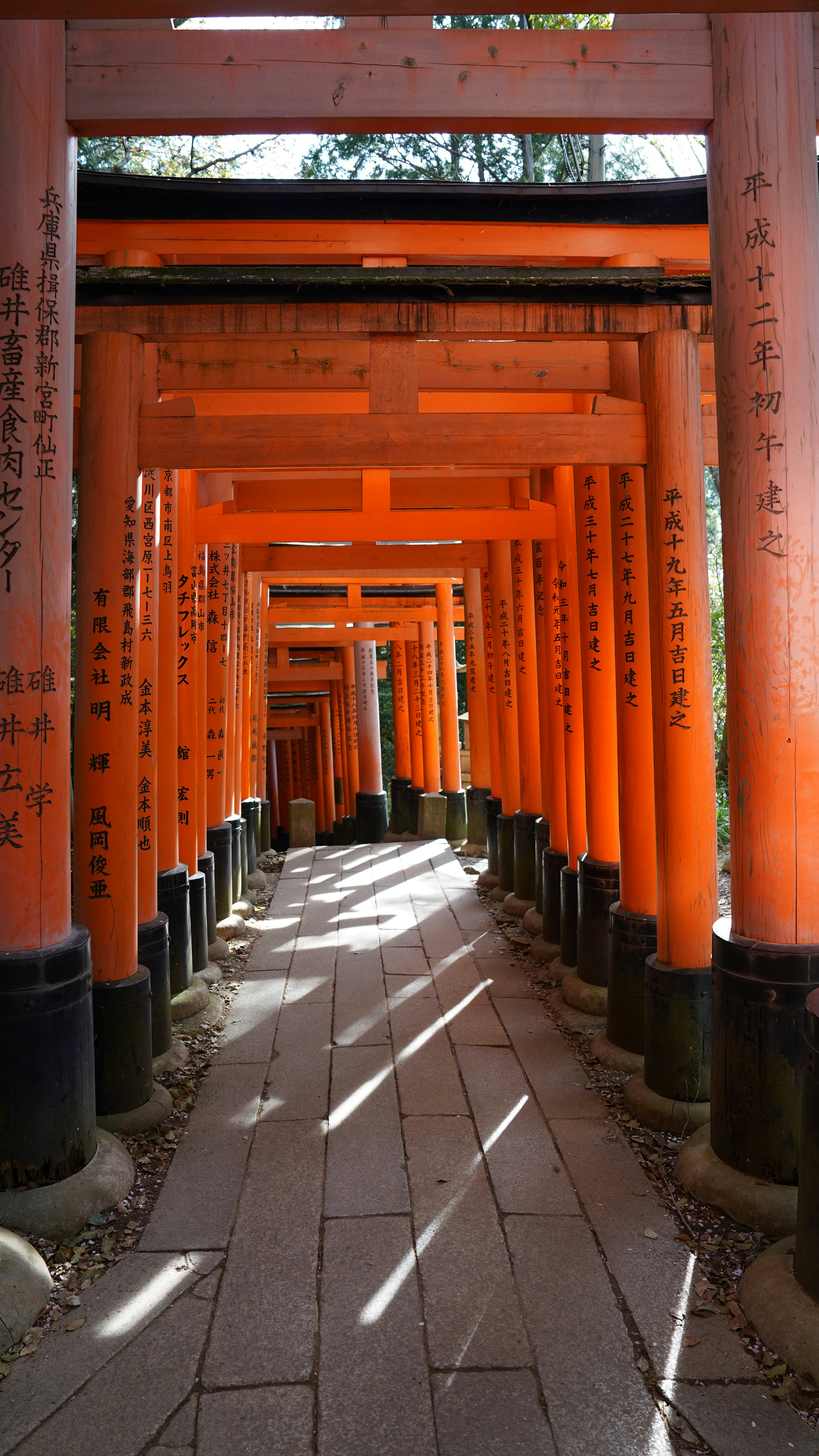 Tunnel of Sunrise: A Corridor of Red Gates