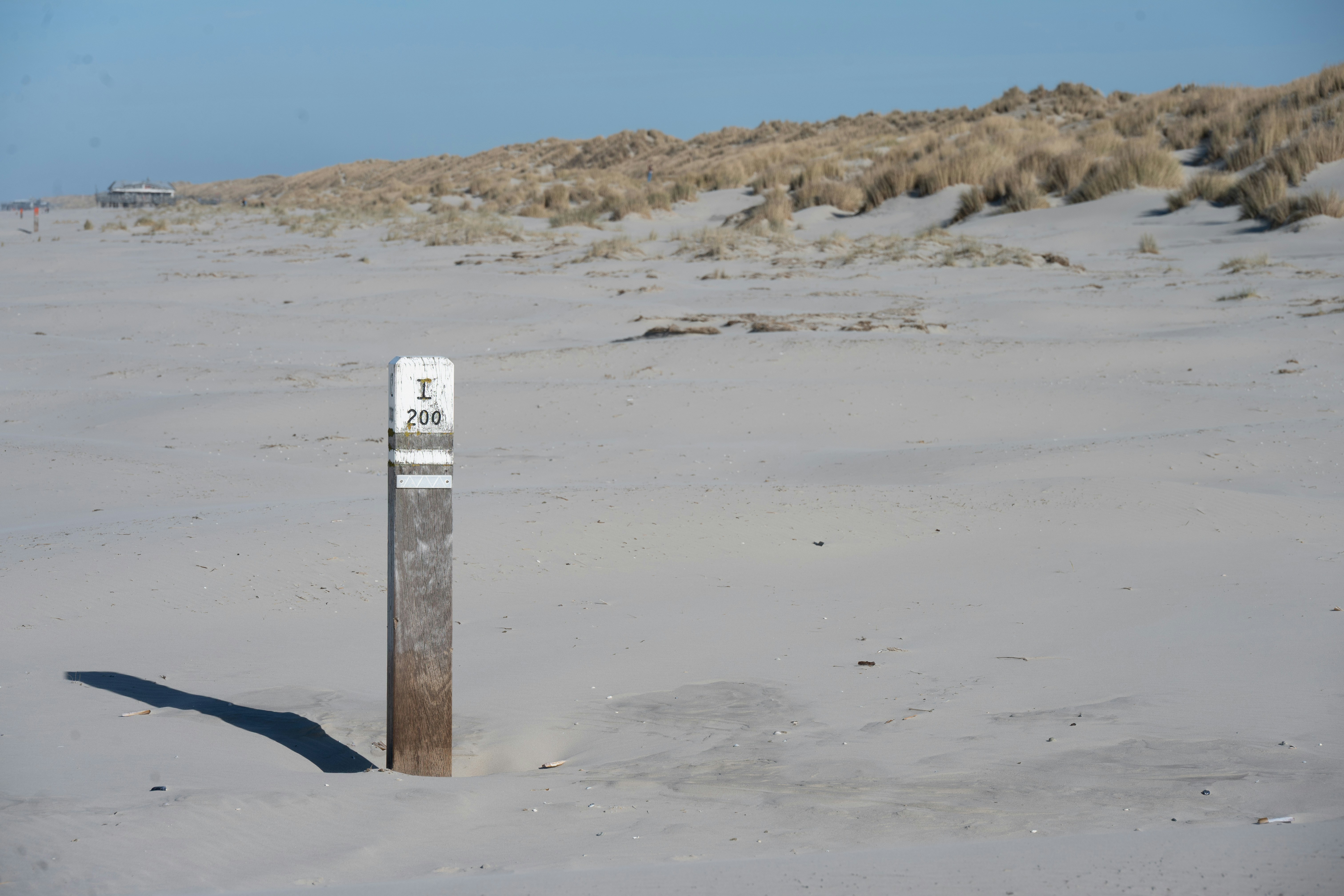 Marker on the Dune: A Silent Beacon on an Expansive Shore
