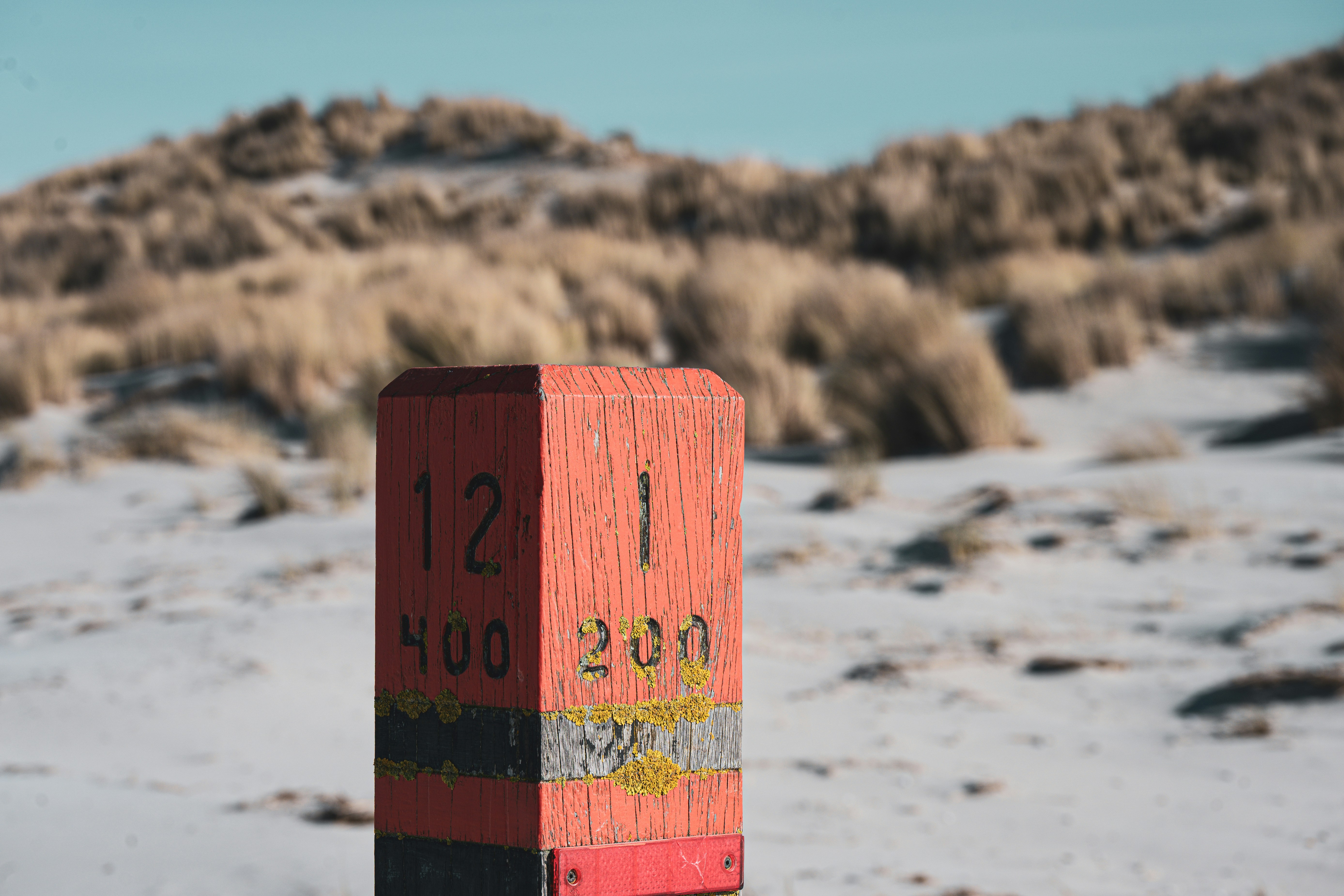 Marker in a Wind-Burnished Dune Landscape