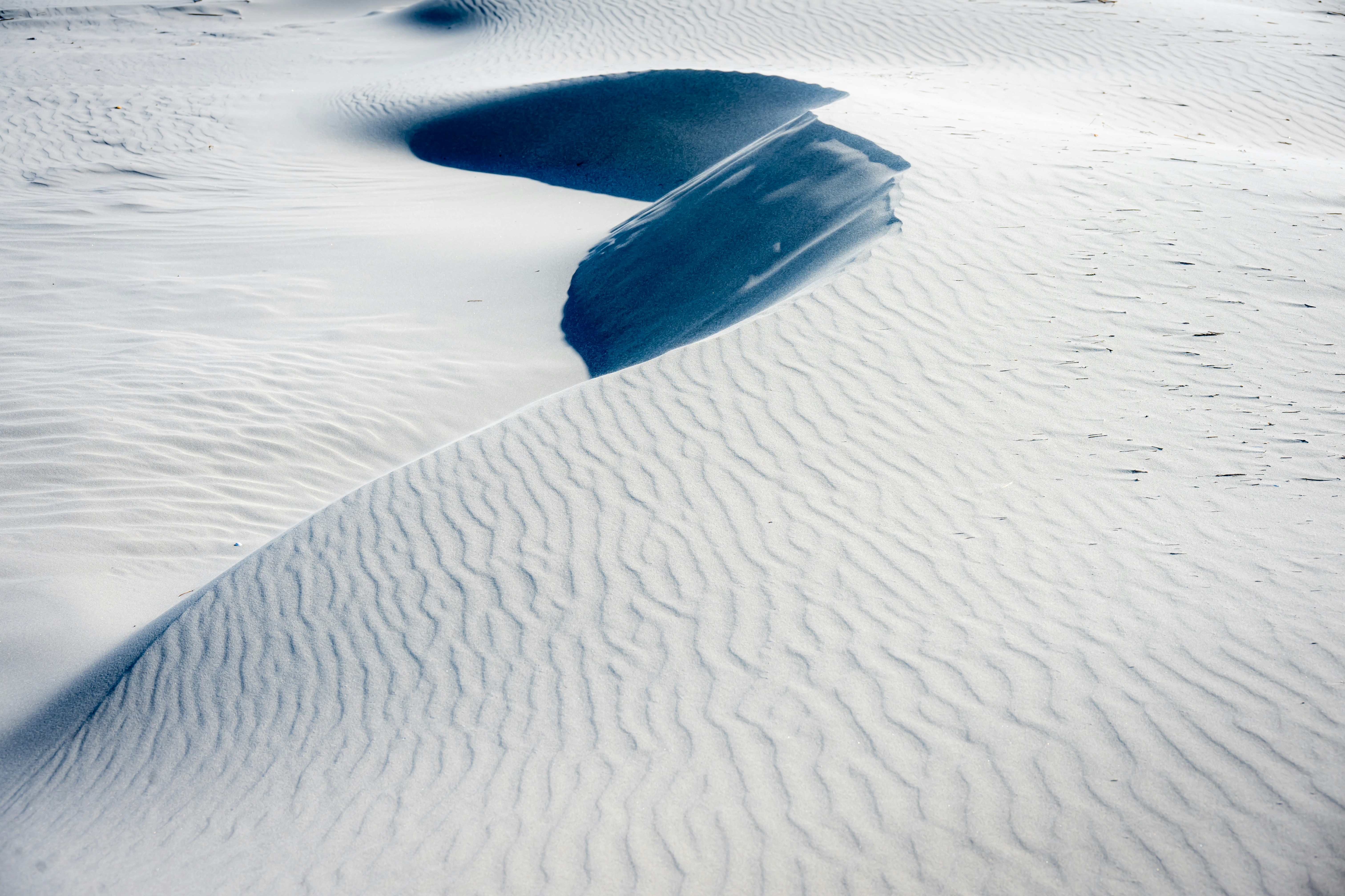 Curved Crest: A Silent Dune Face over Wind-Raked Sand