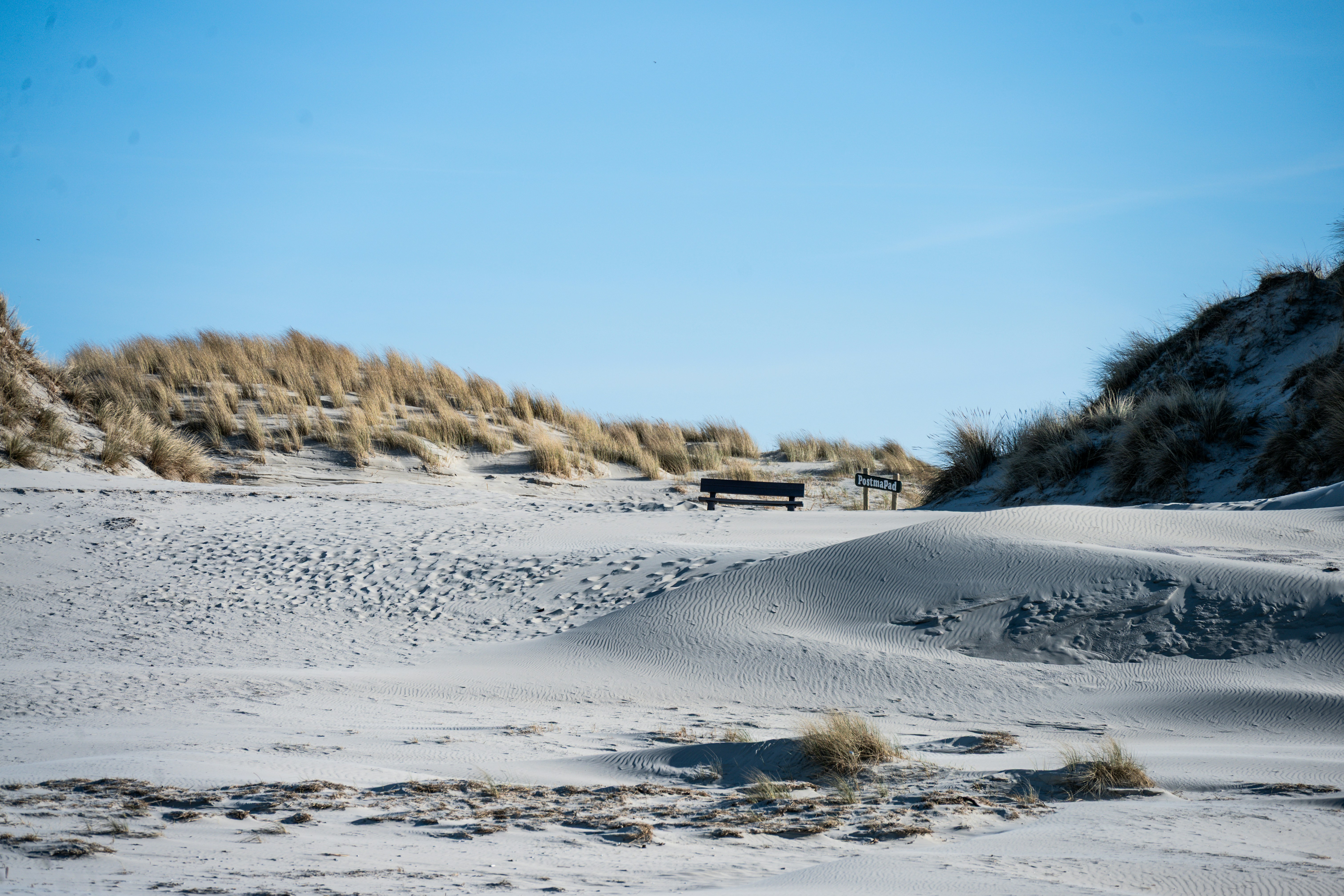 Dune Pathways: Quiet Reach of Sand and Sky