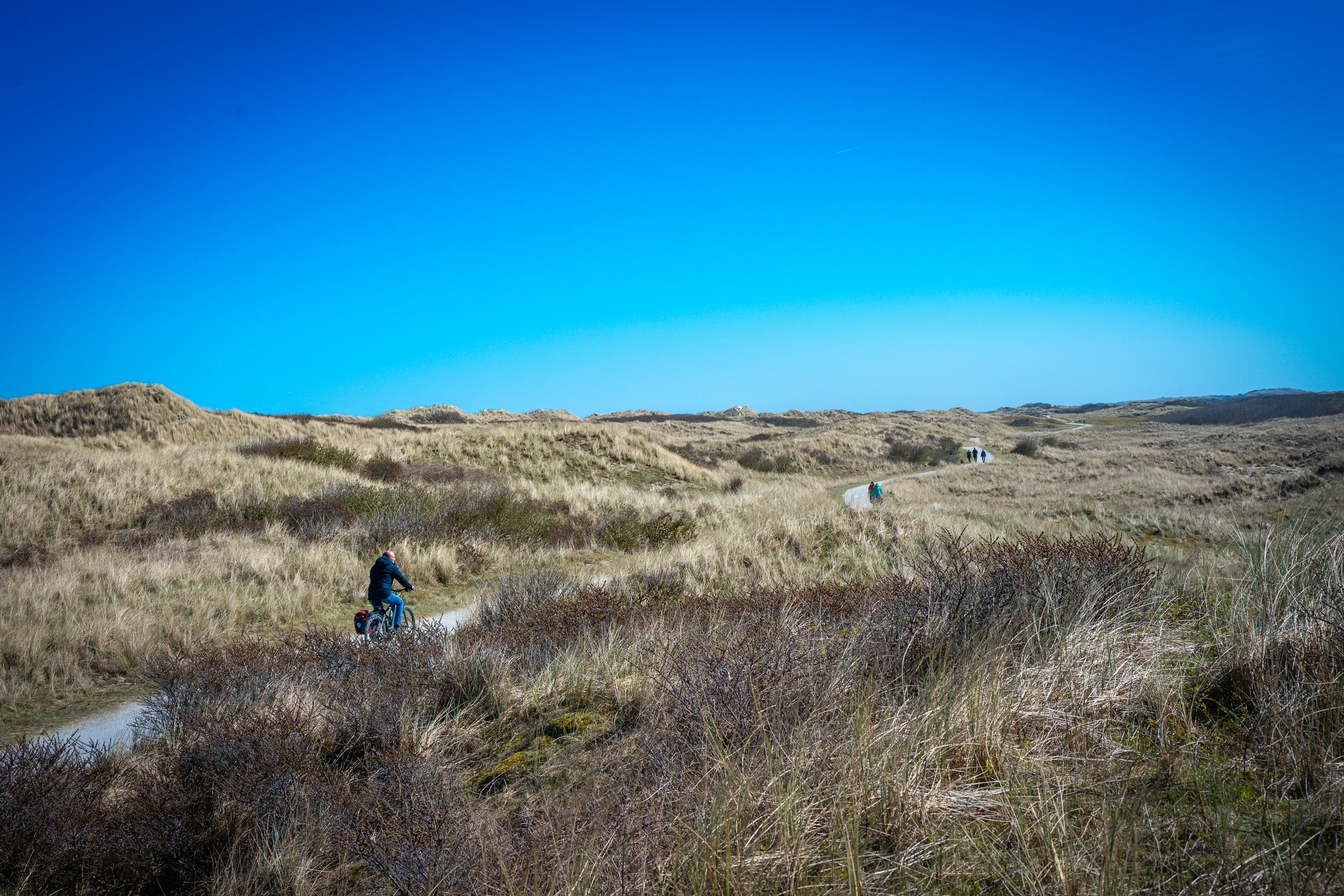 Cyclist Traverses Coastal Dunes Under a Clear Blue Sky