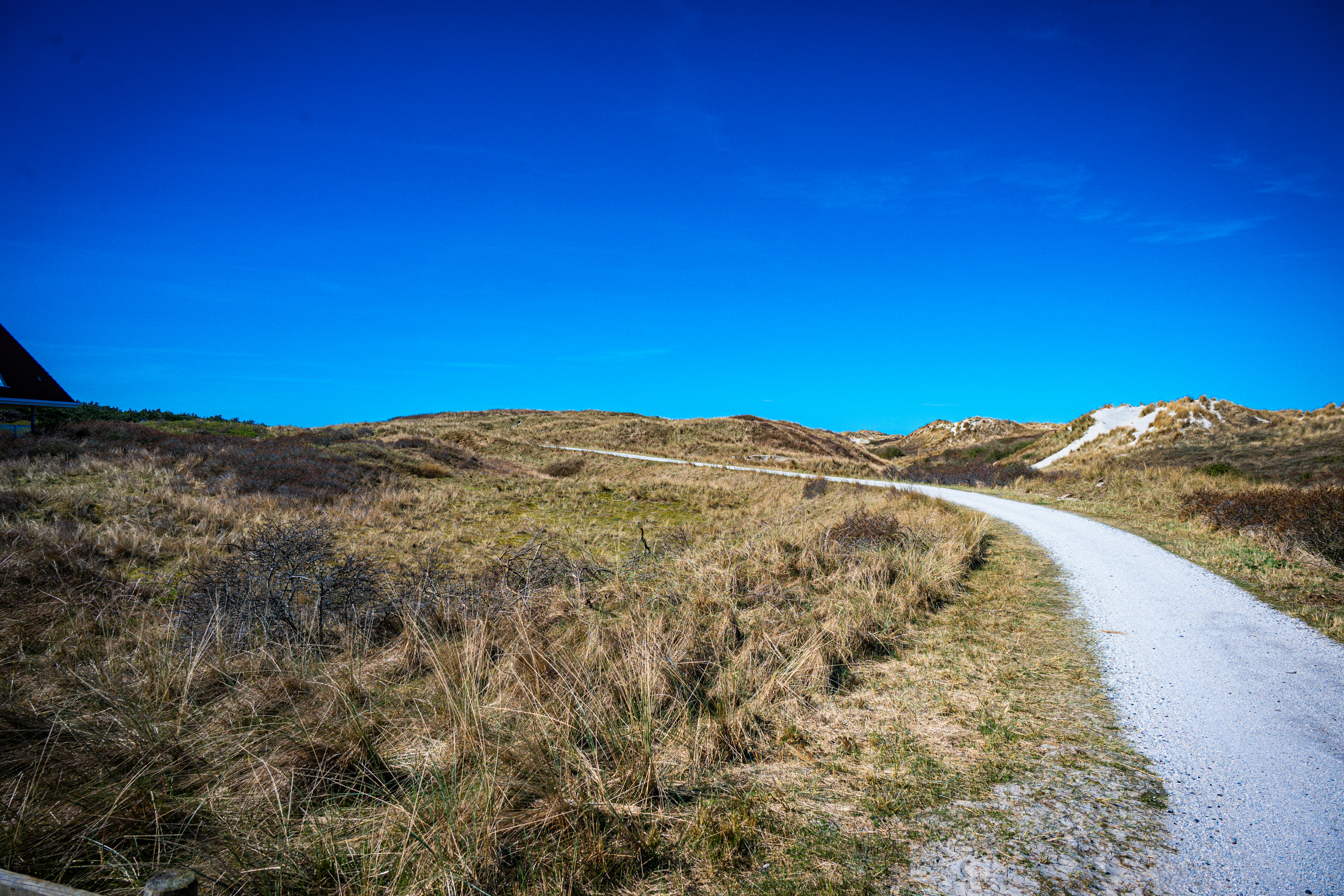 Dusty Trail Winding Through Open Moor Under A Crisp Blue Sky