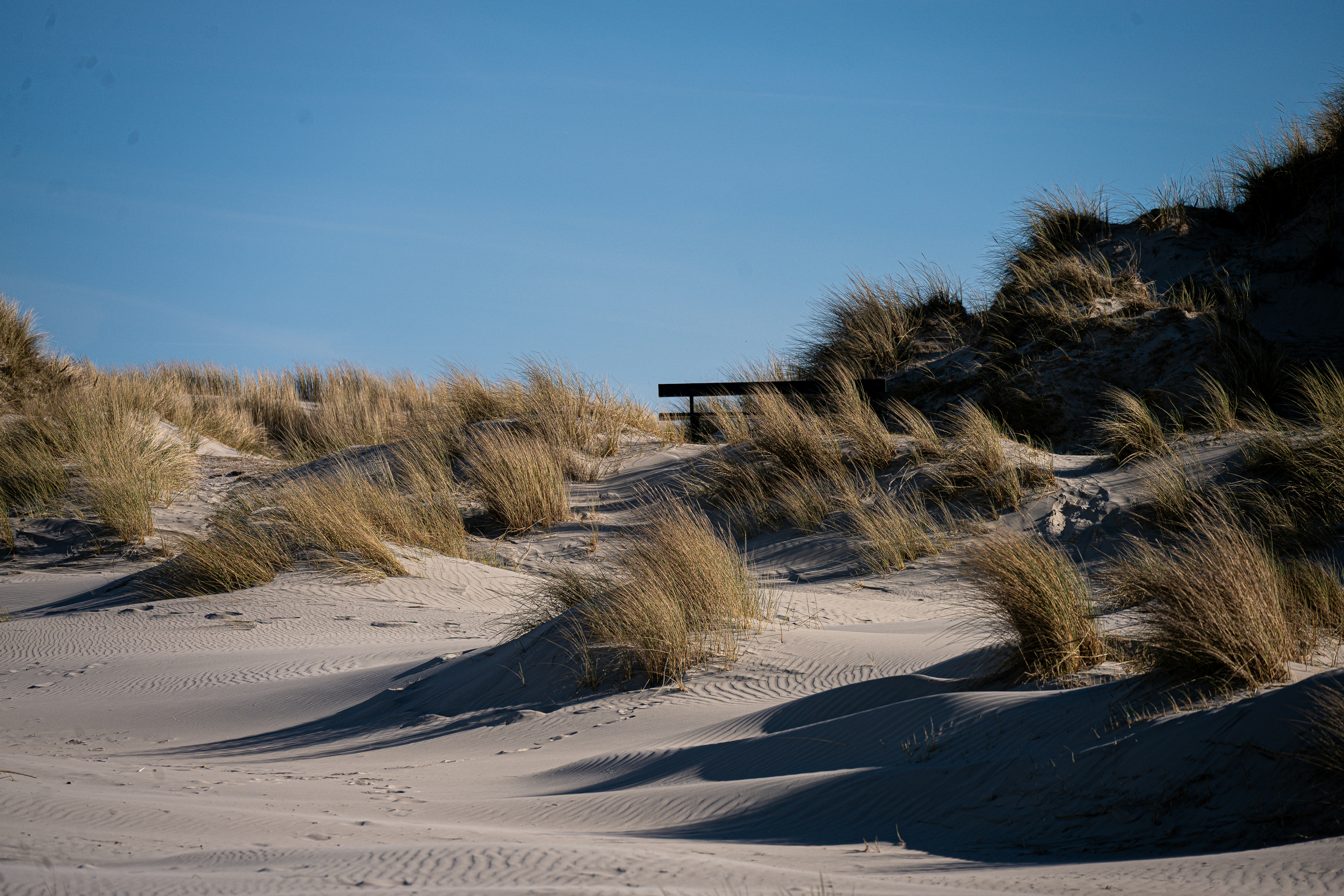 Dune Crest and Weathered Bench Under Open Sky