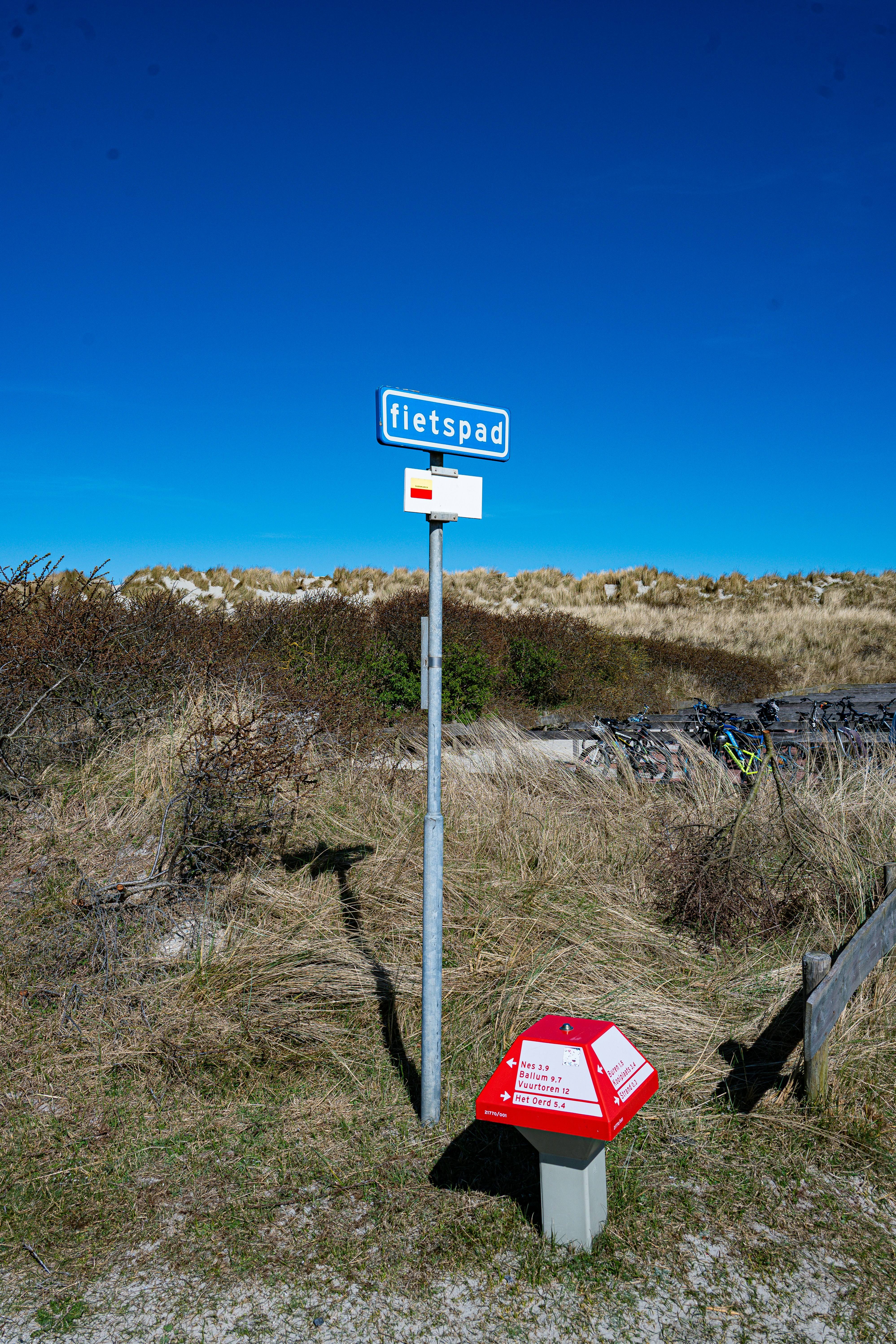 Blue Dutch Sign in a Coastal Scrub with a Red Mailbox