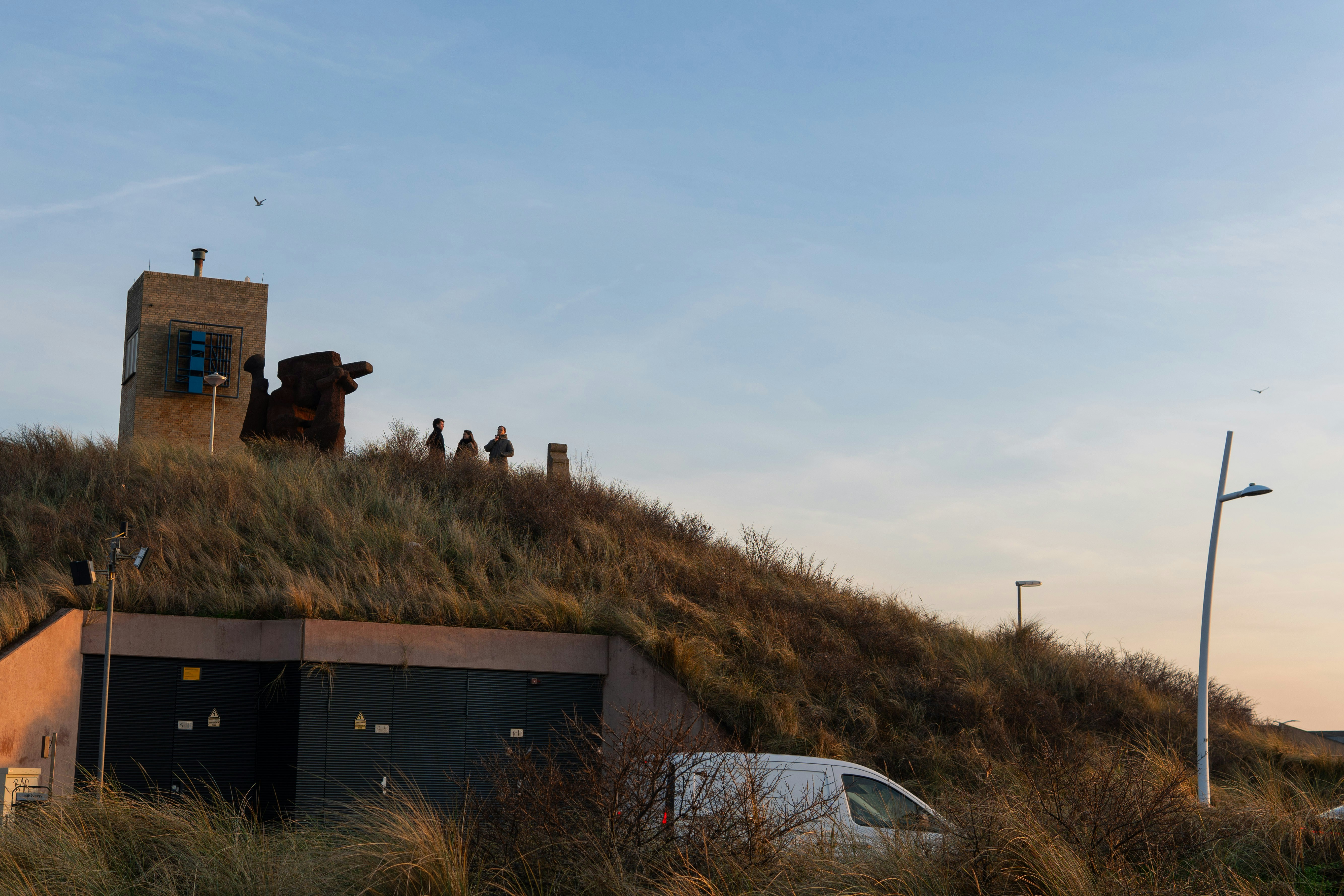 Dune-top Figures: A Quiet Sentinel Over the Car Yard