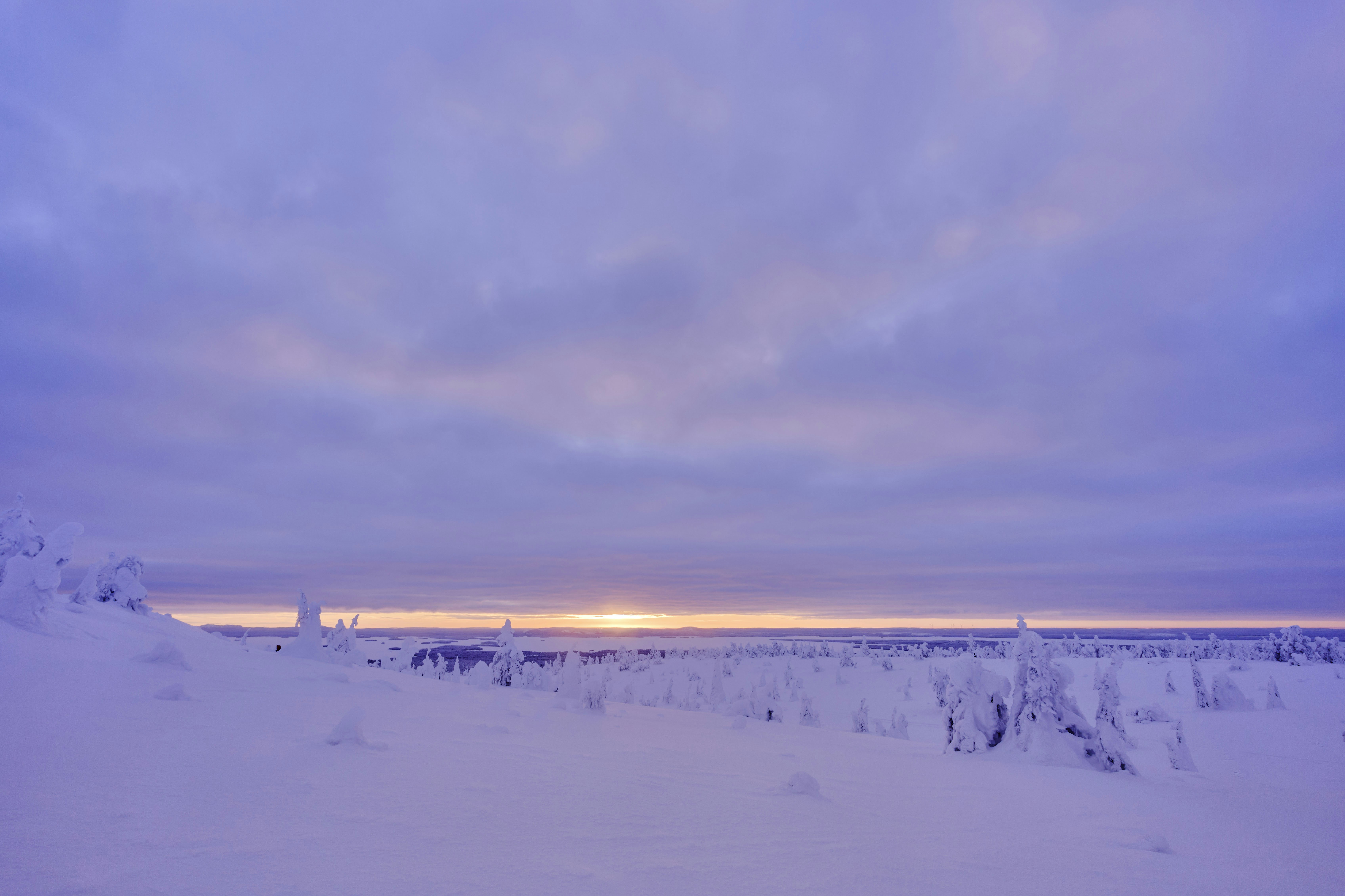 Horizon Firelight Over Frozen Plains
