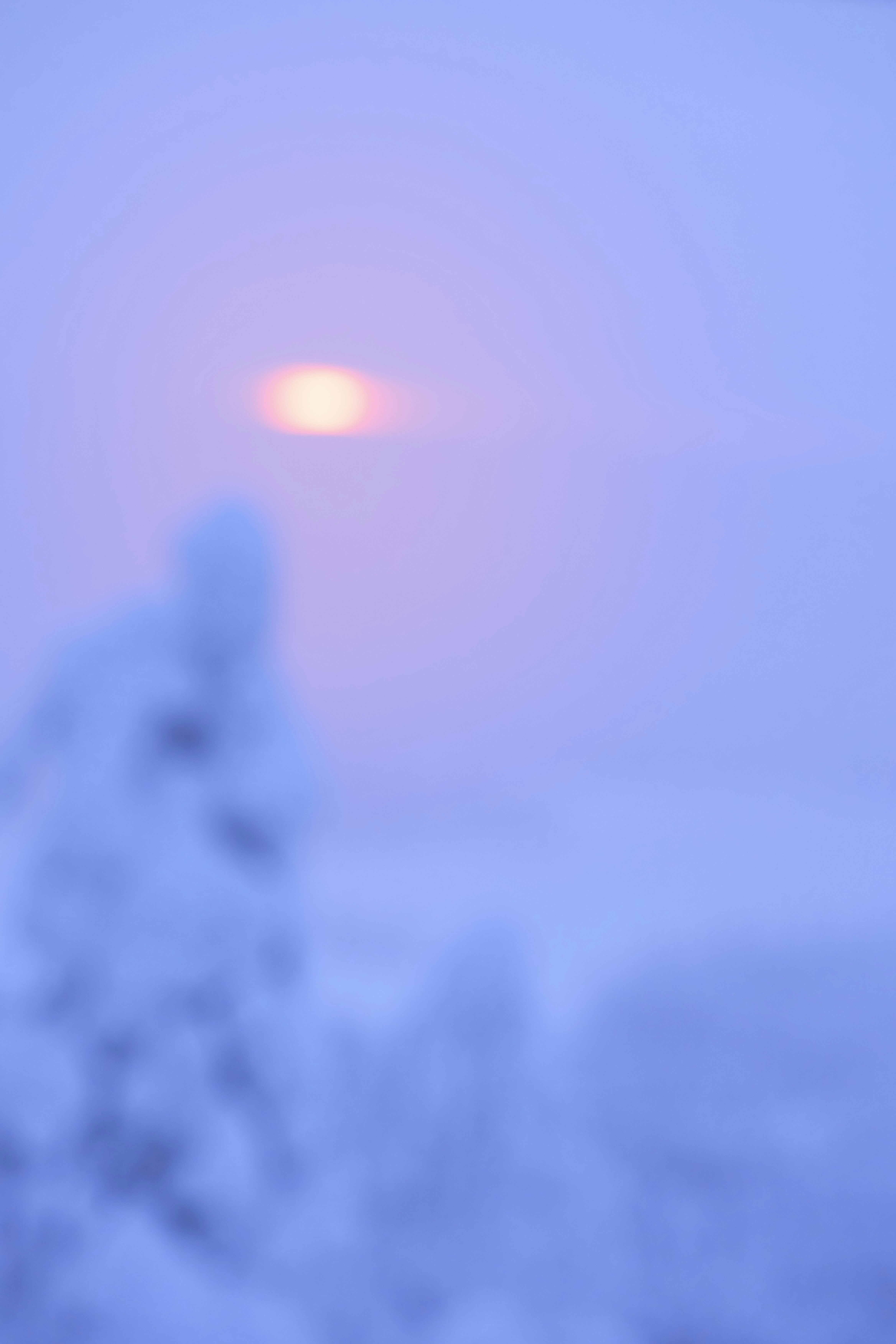 Soft Sunrise in a Hazy Freeze
