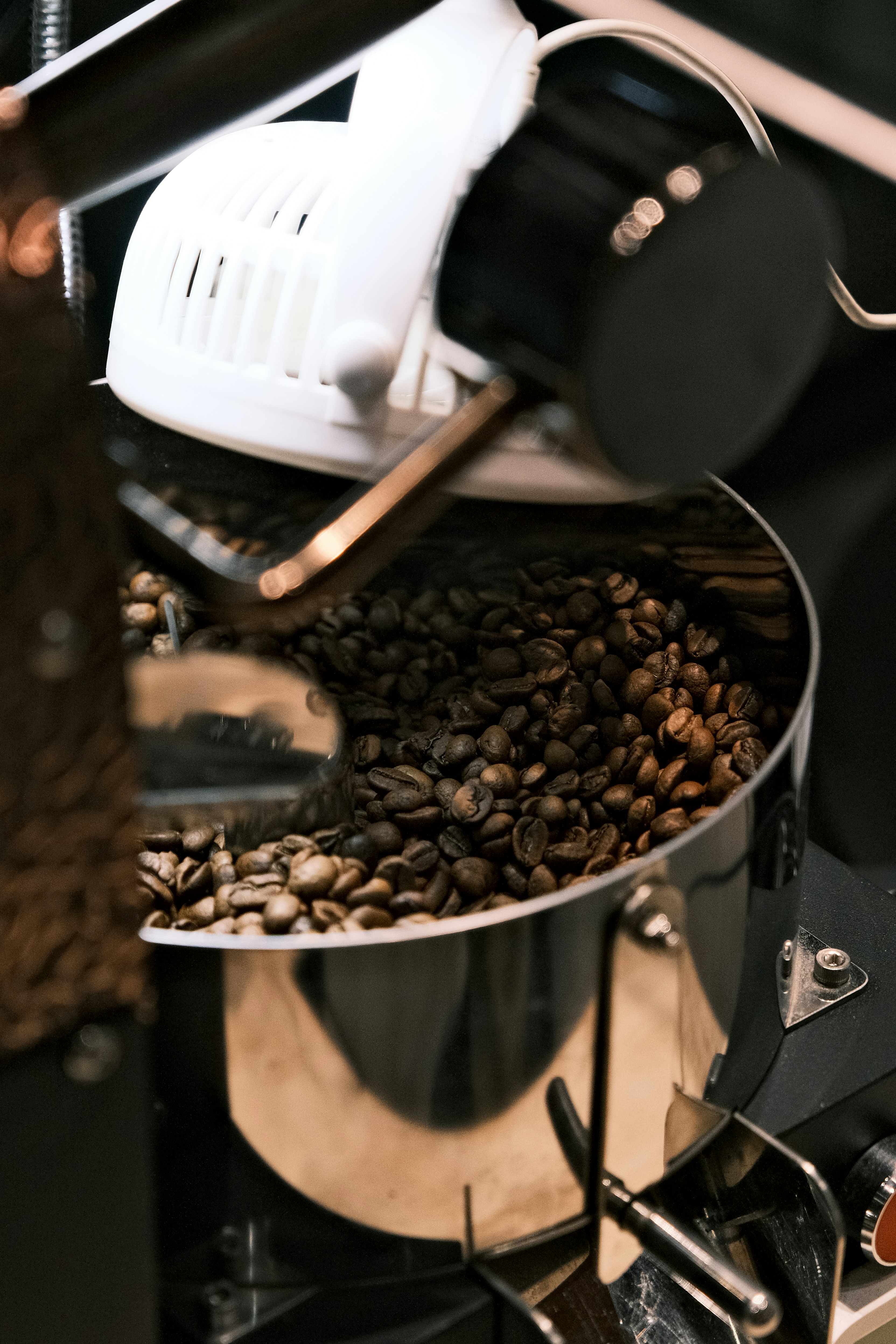 Roasted Roast: A Barista’s Pause with Coffee Beans and Gear
