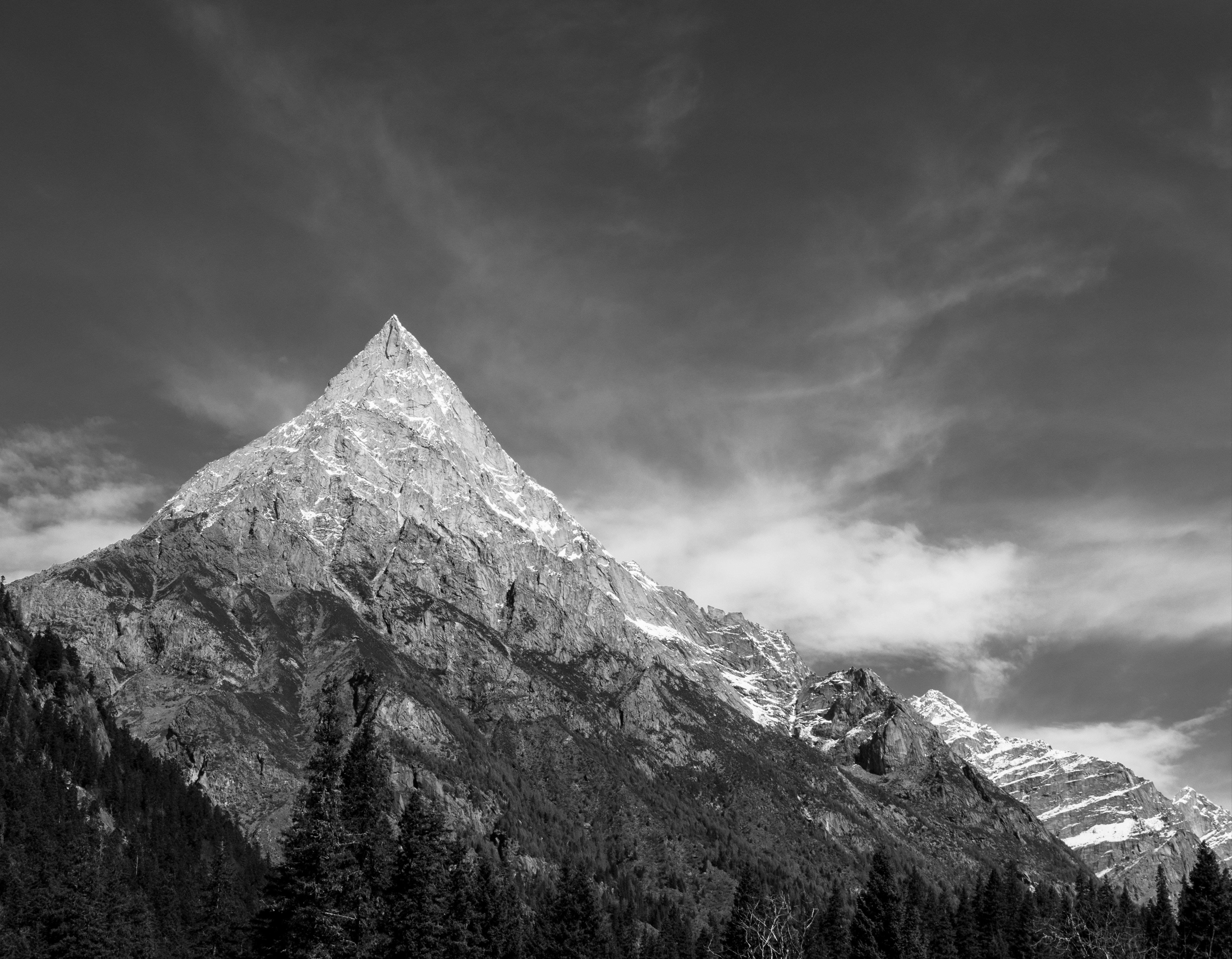 Snow-Capped Peak over Forest Margin at Dusk