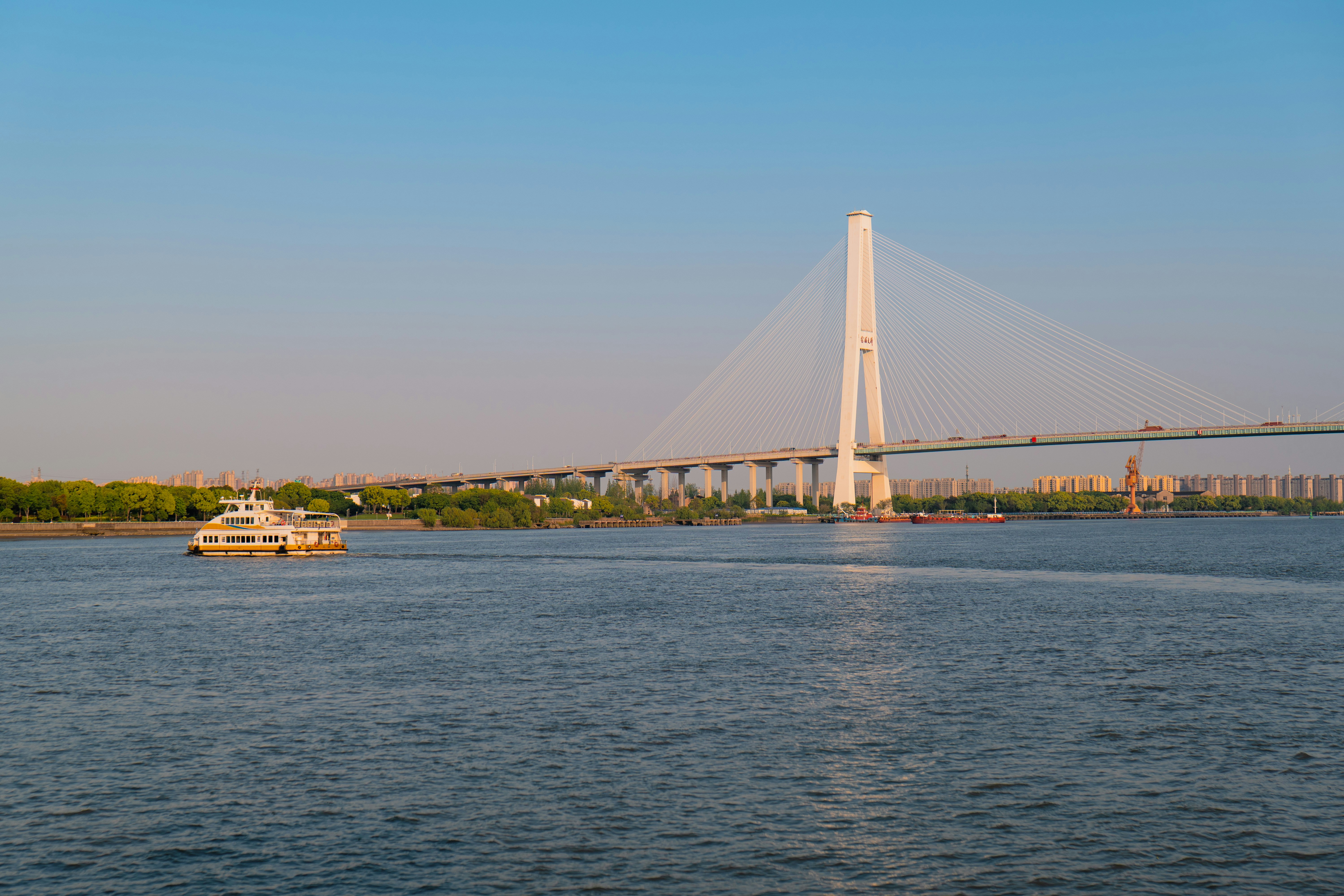 Riverside Transit under a Cable-Stayed Skyline