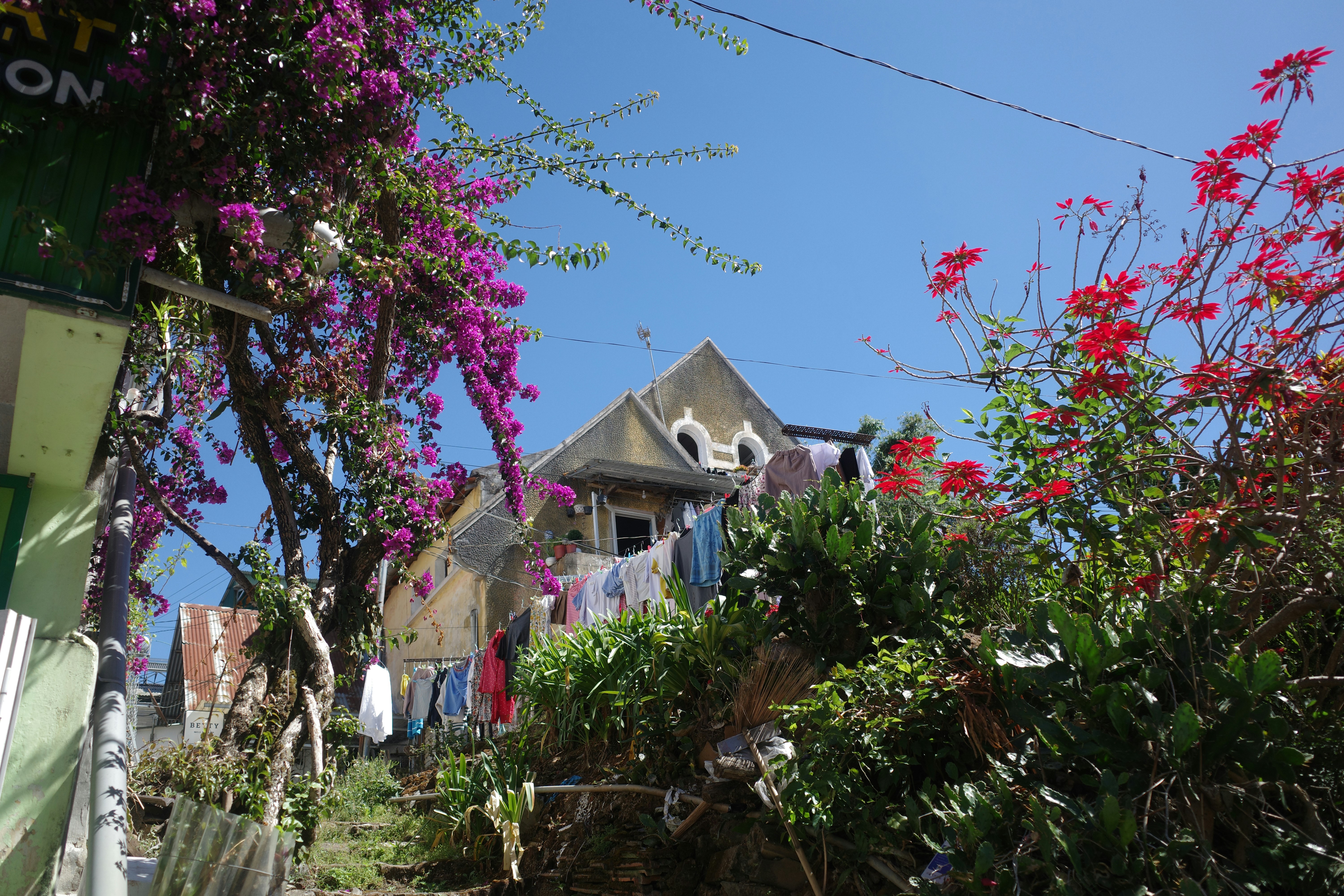 Sunlit Laundry Line Between Blooming Cliffs