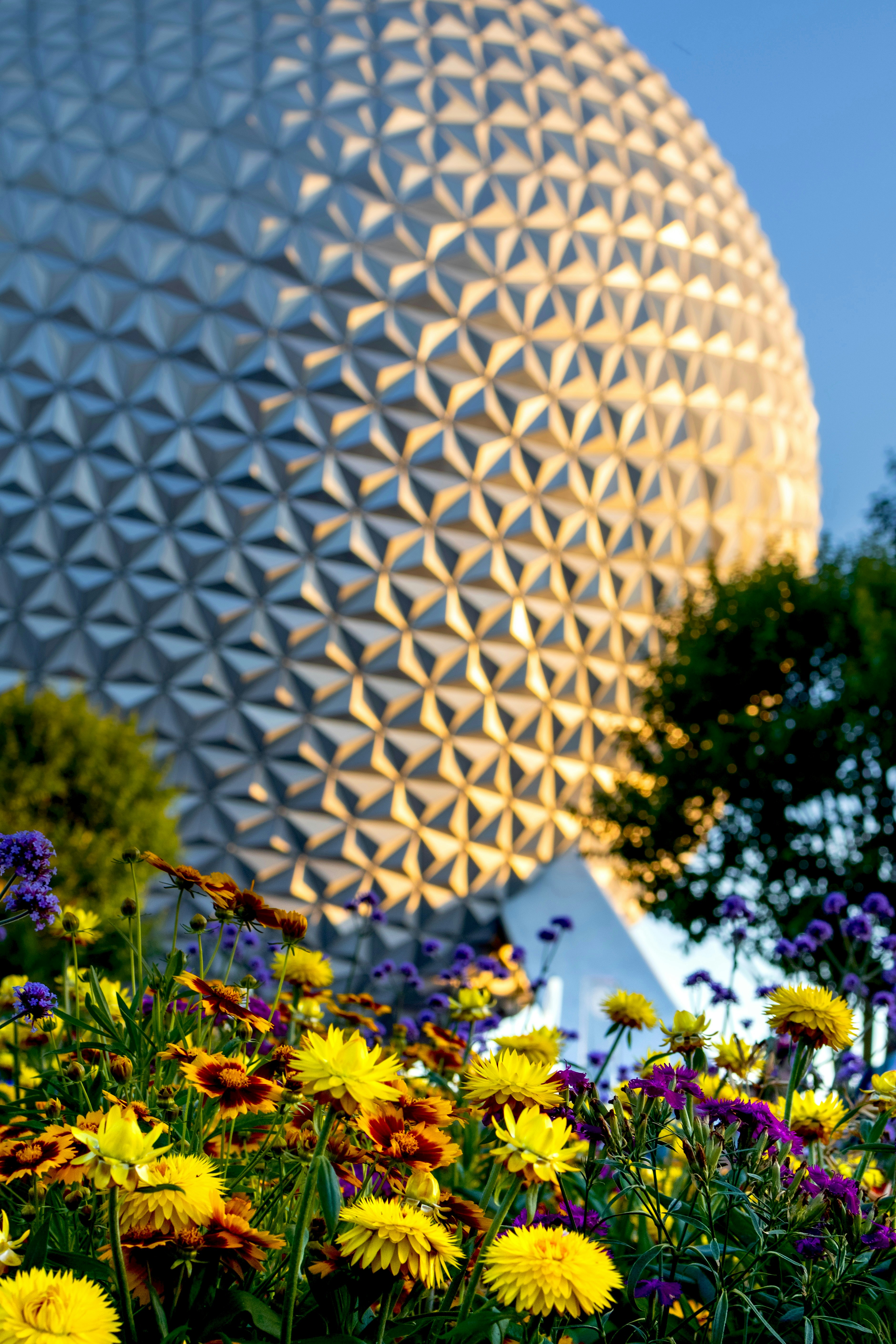 Geometric Sphere Bloom: A floral foreground Meets a Faceted Dome