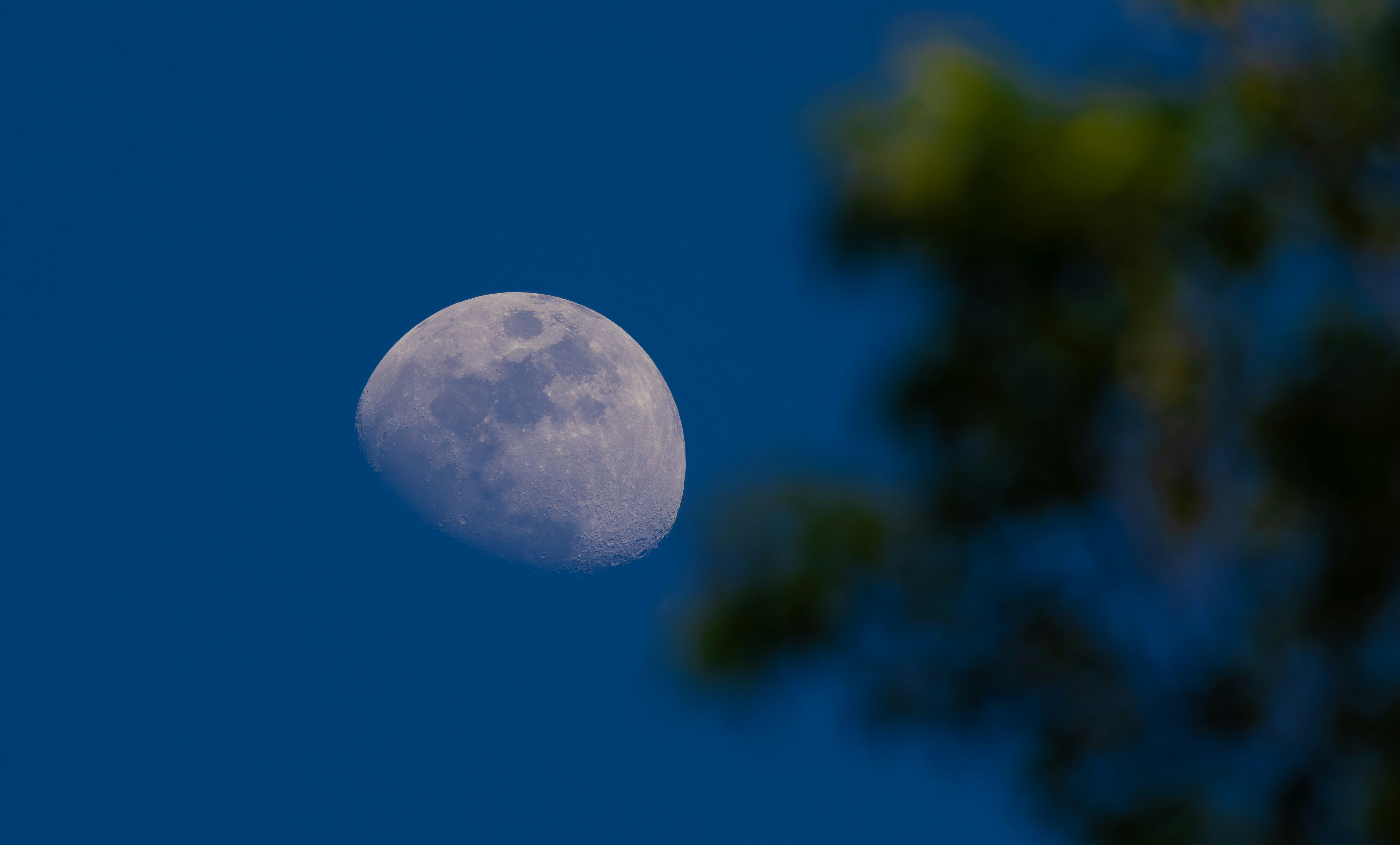 Luna in Focus: Moon Rough-Outlined by Hushed Blue Night