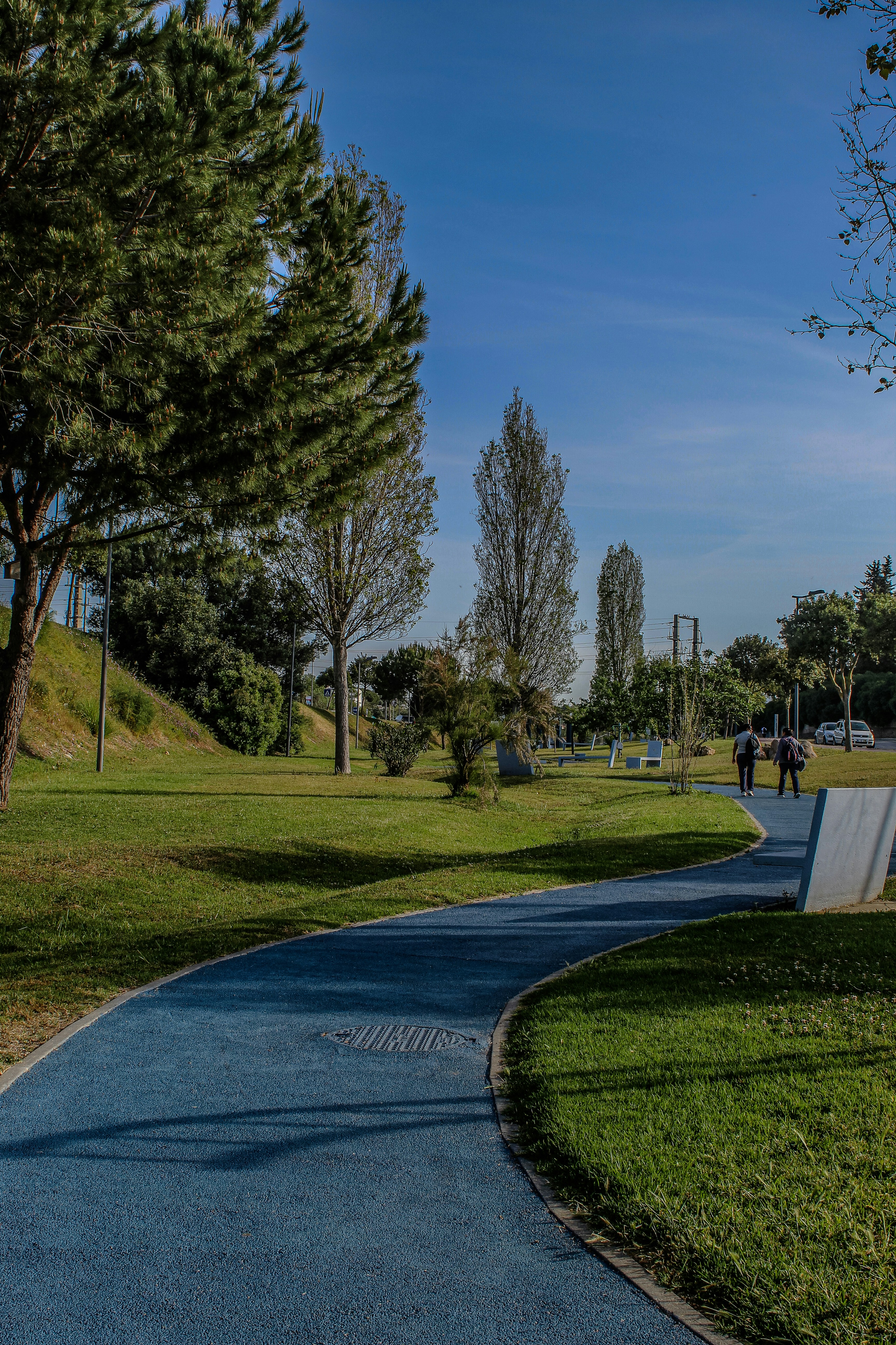 Sunlit Park Path Winding Toward Far-Shadowed Figures