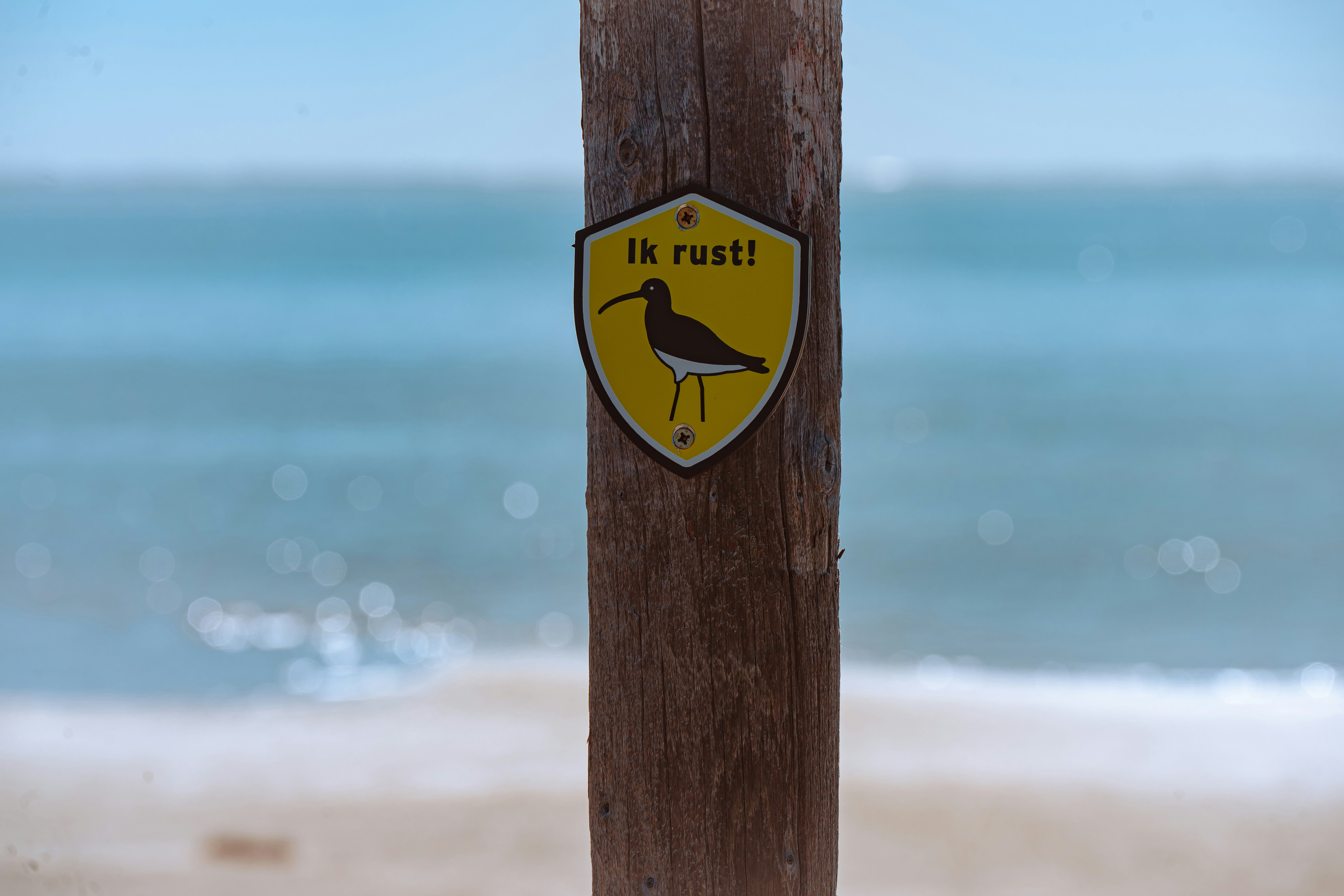 Sign on the Driftwood Post: A Quiet Beach Marker