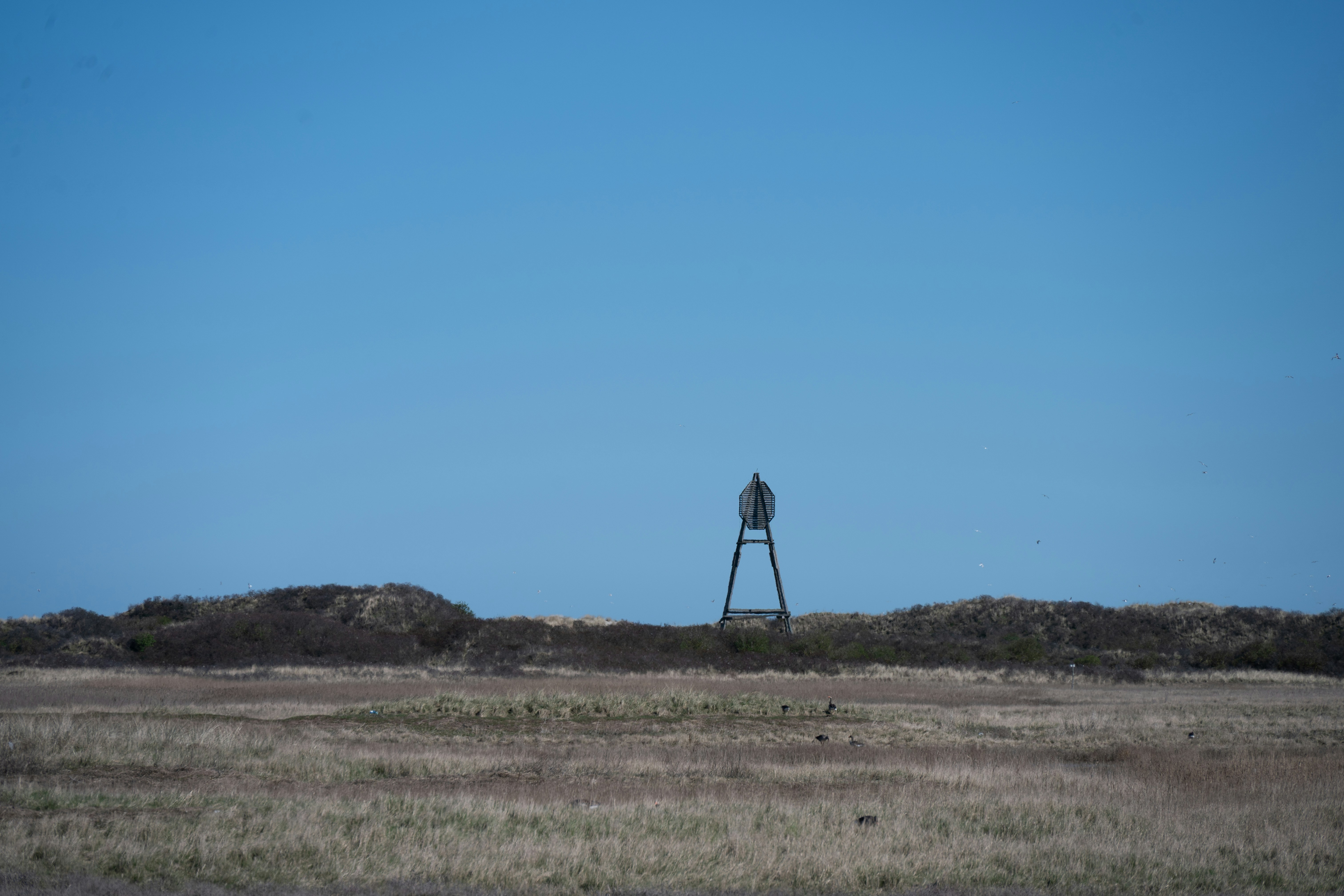 Watchtower Against the Quiet Horizon