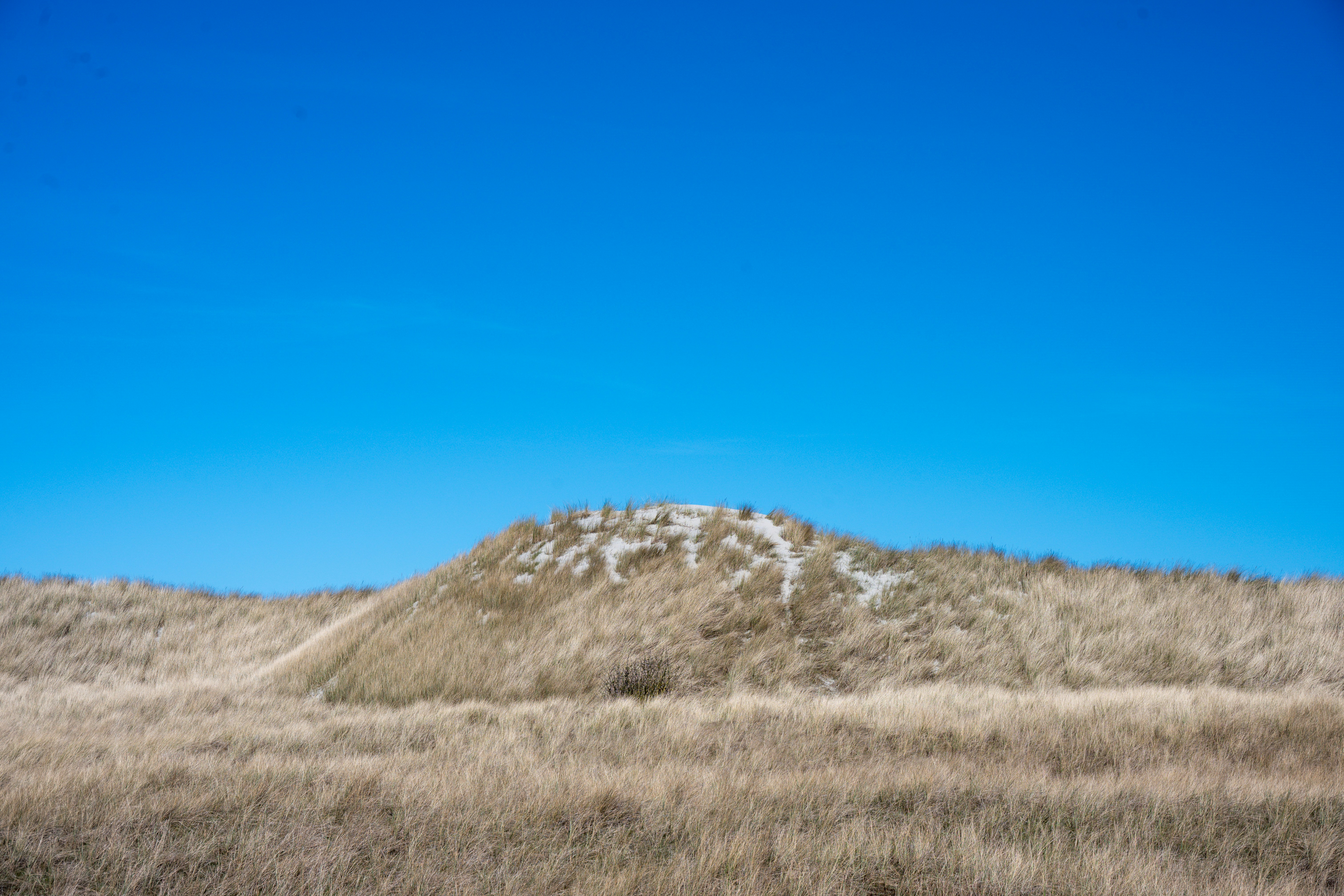 Dune Crest Under Wide Blue: Quiet Horizon