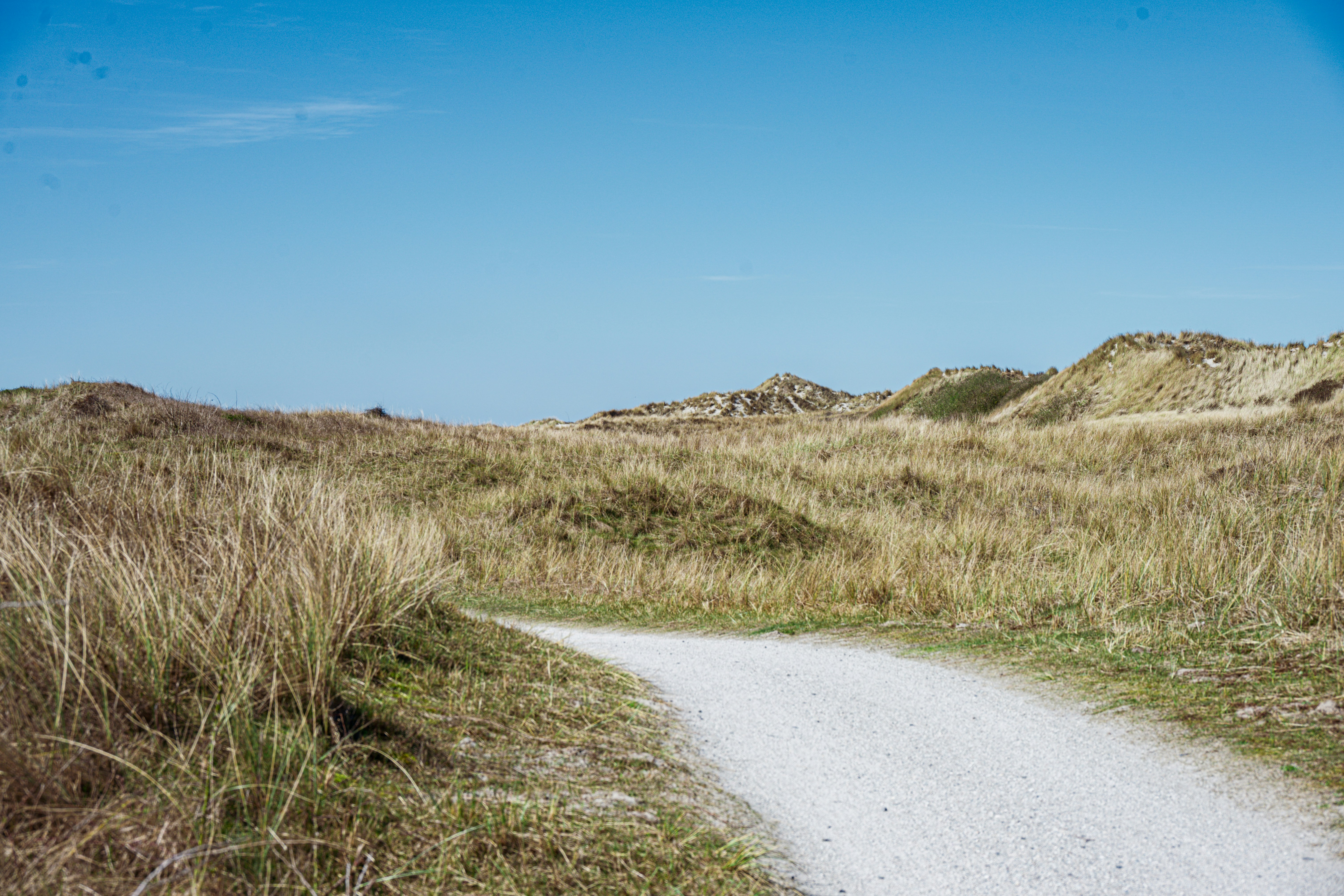 Dusty Path Through Dune Grass Under a Clear Blue Sky