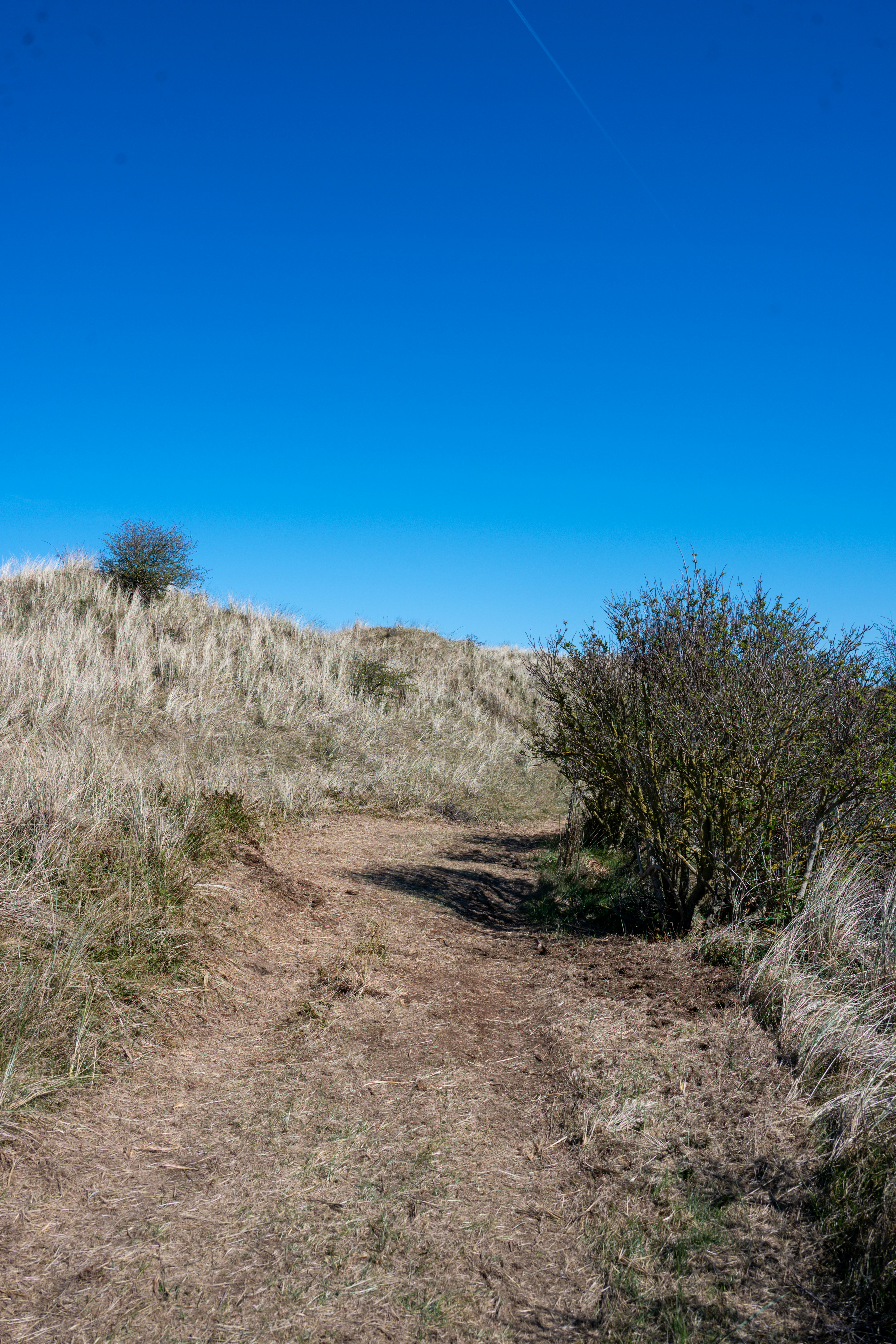 Dusty Trail Through Coastal Dunes Beneath a Clear Blue Sky