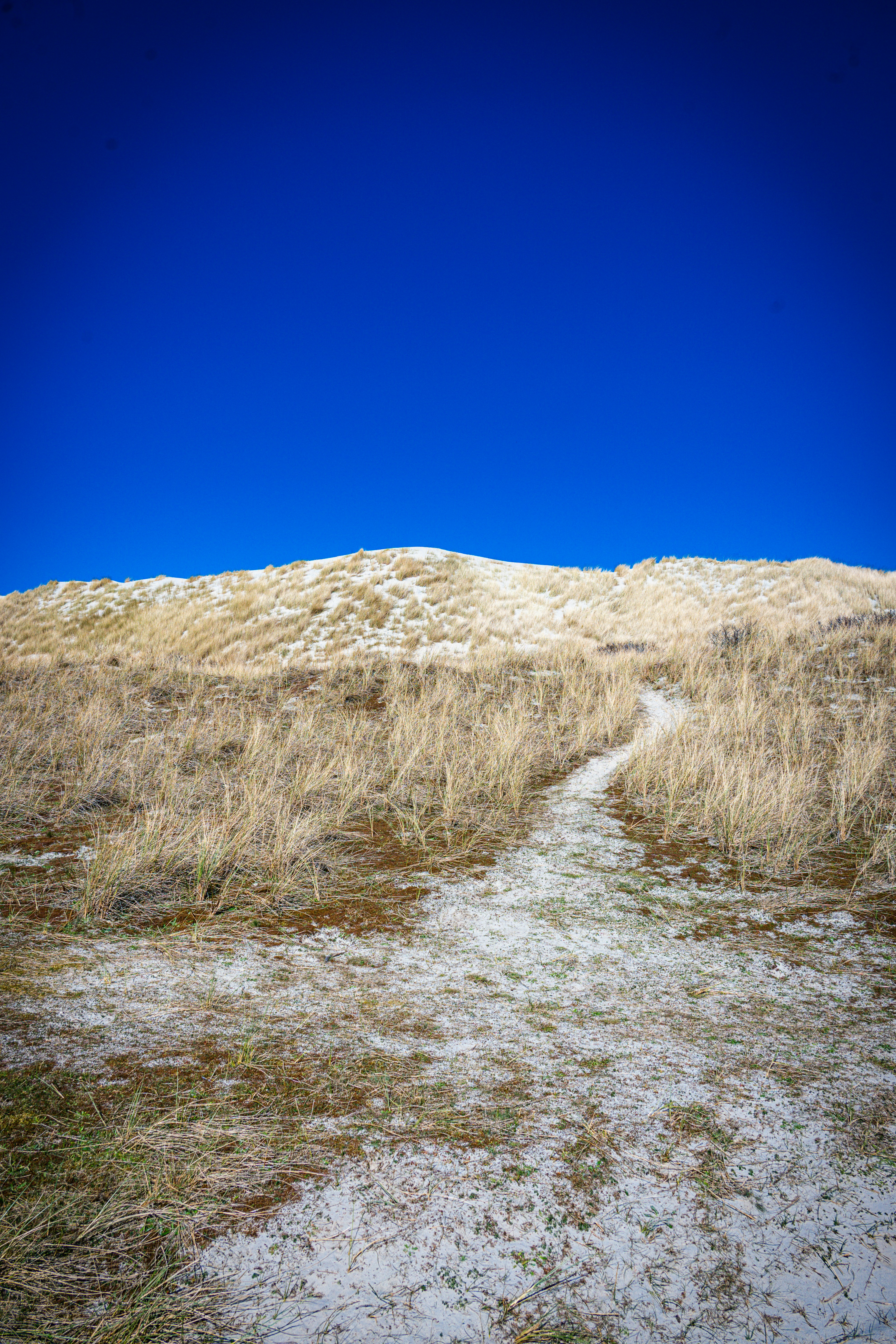 Blue Sky Over the Dune Path