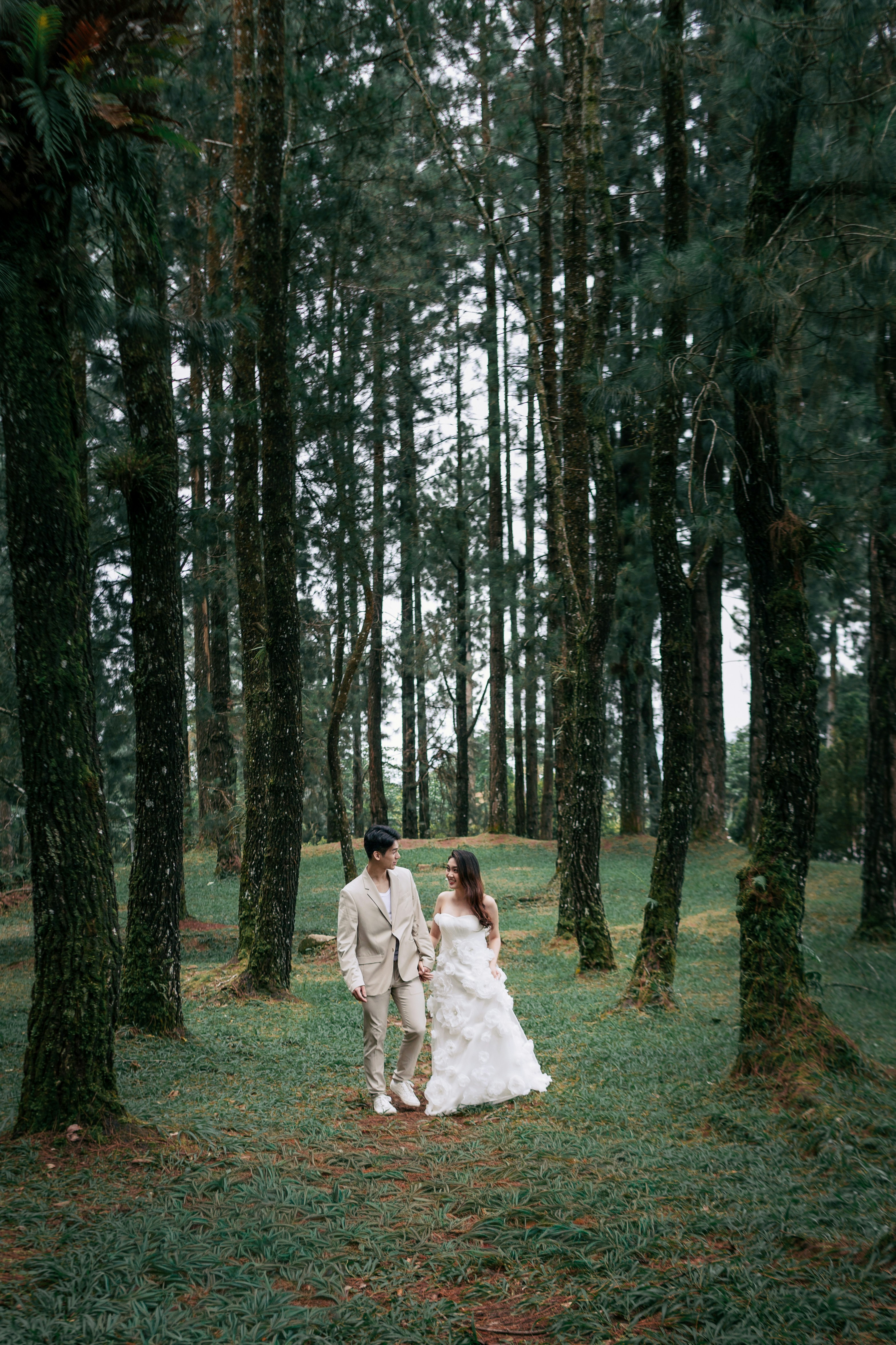 Whispering Aisle: A Quiet Moment Between Two in a Pine Cathedral