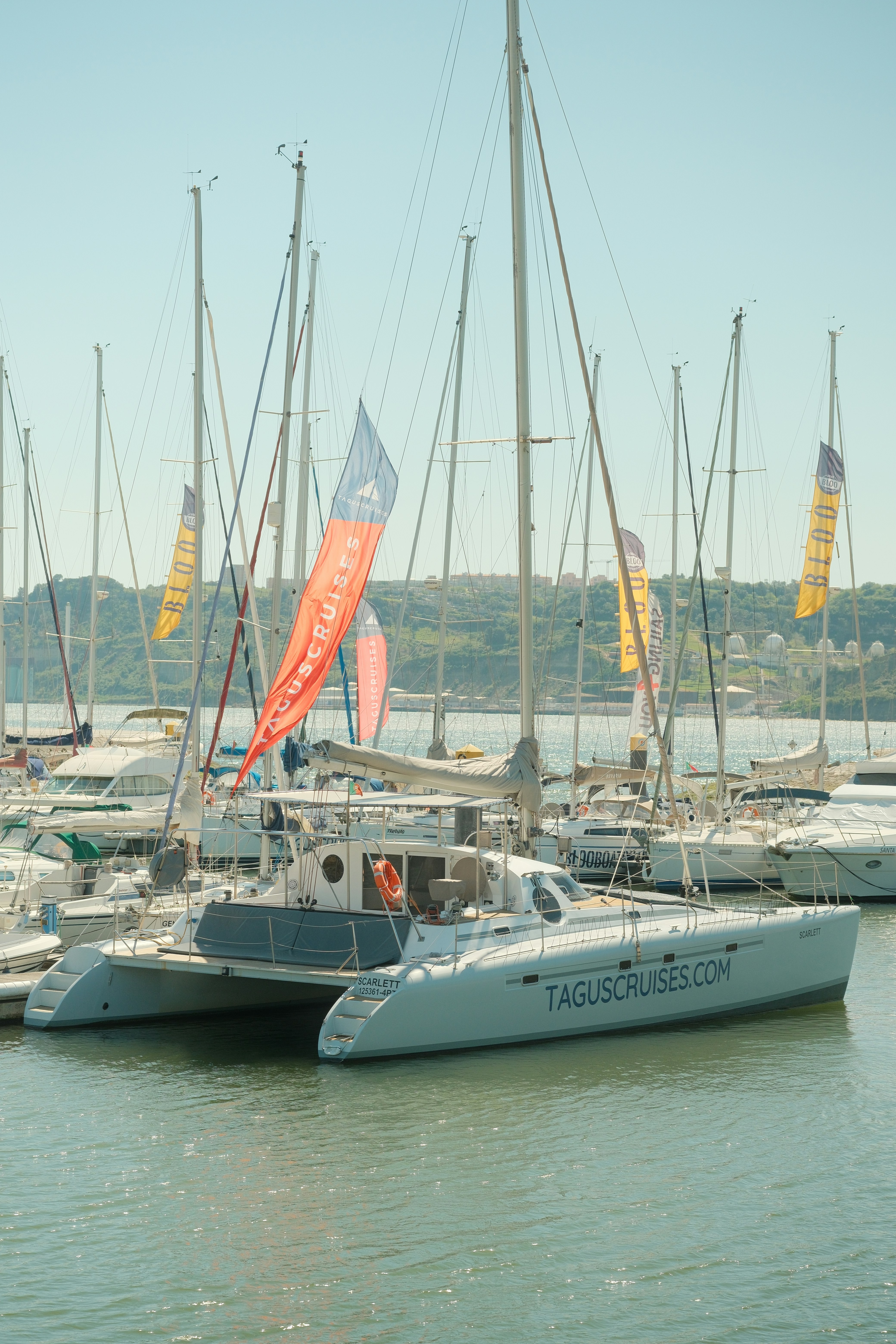 Tagus Cruise: Sunlit Sails at Dockside