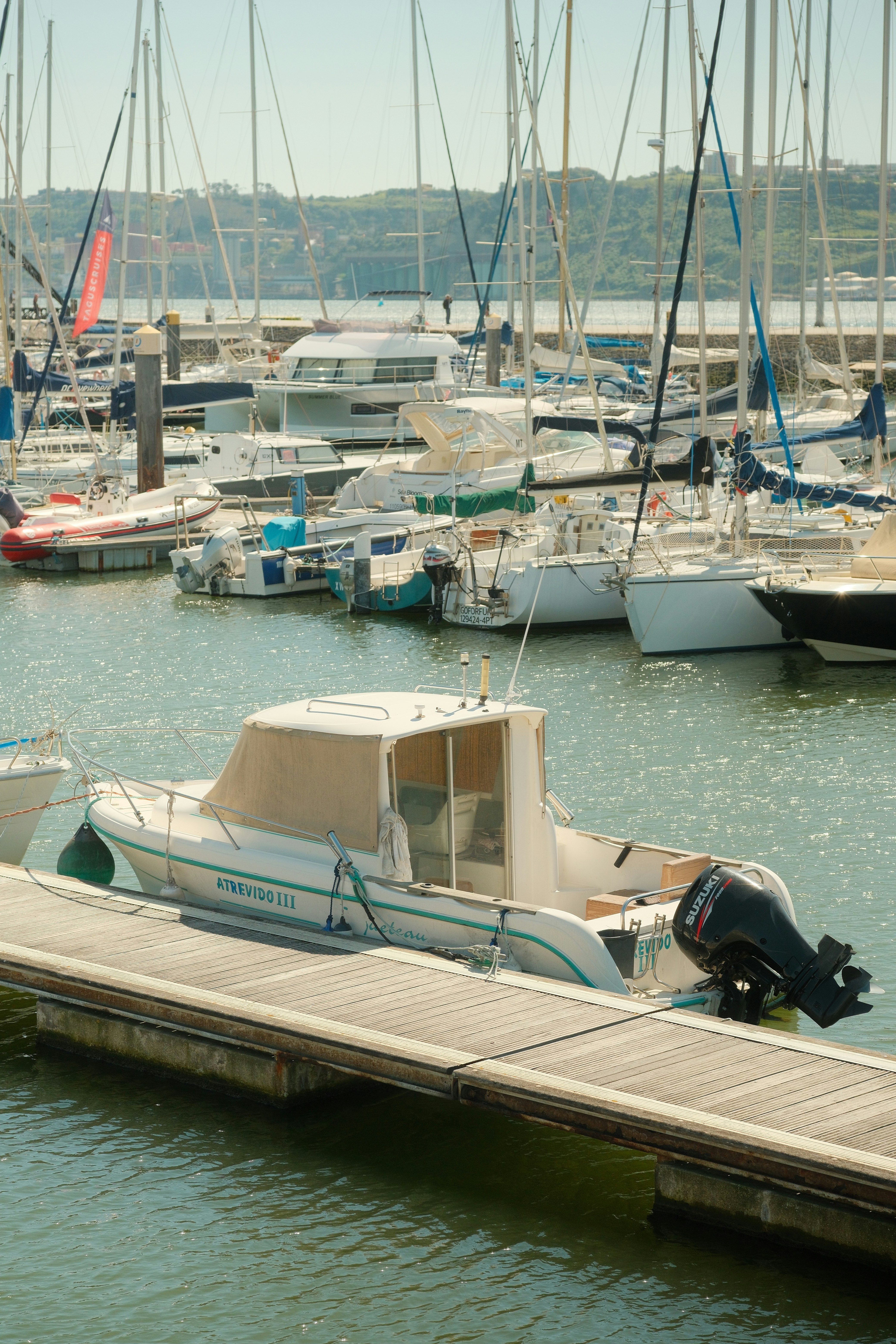 Quiet Dockside: A Fleet of Boats at Rest