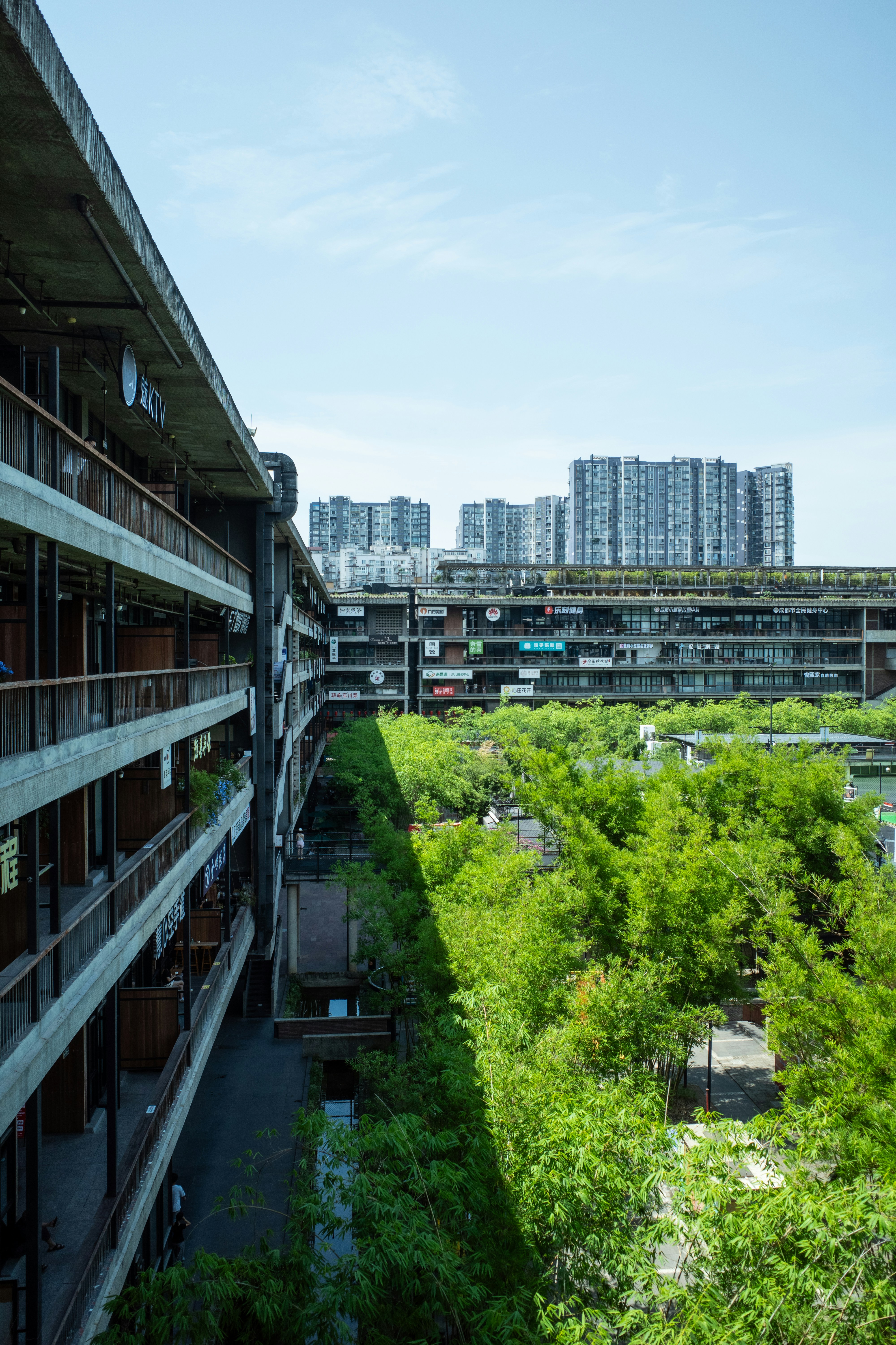 Urban Atrium: Concrete Walkways Framing a Green Vertical Garden