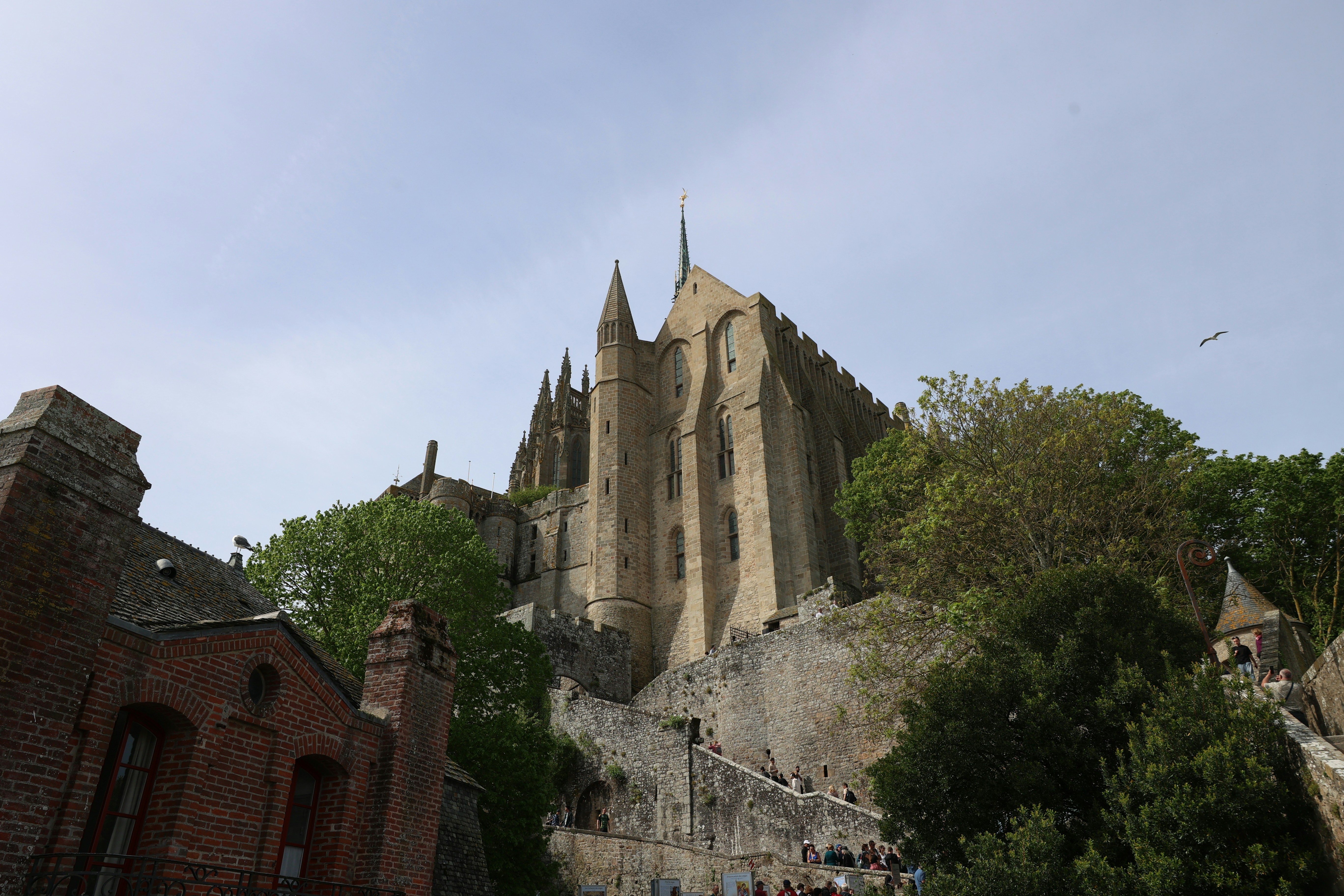 Castle Crest: A Climb Toward the Spires