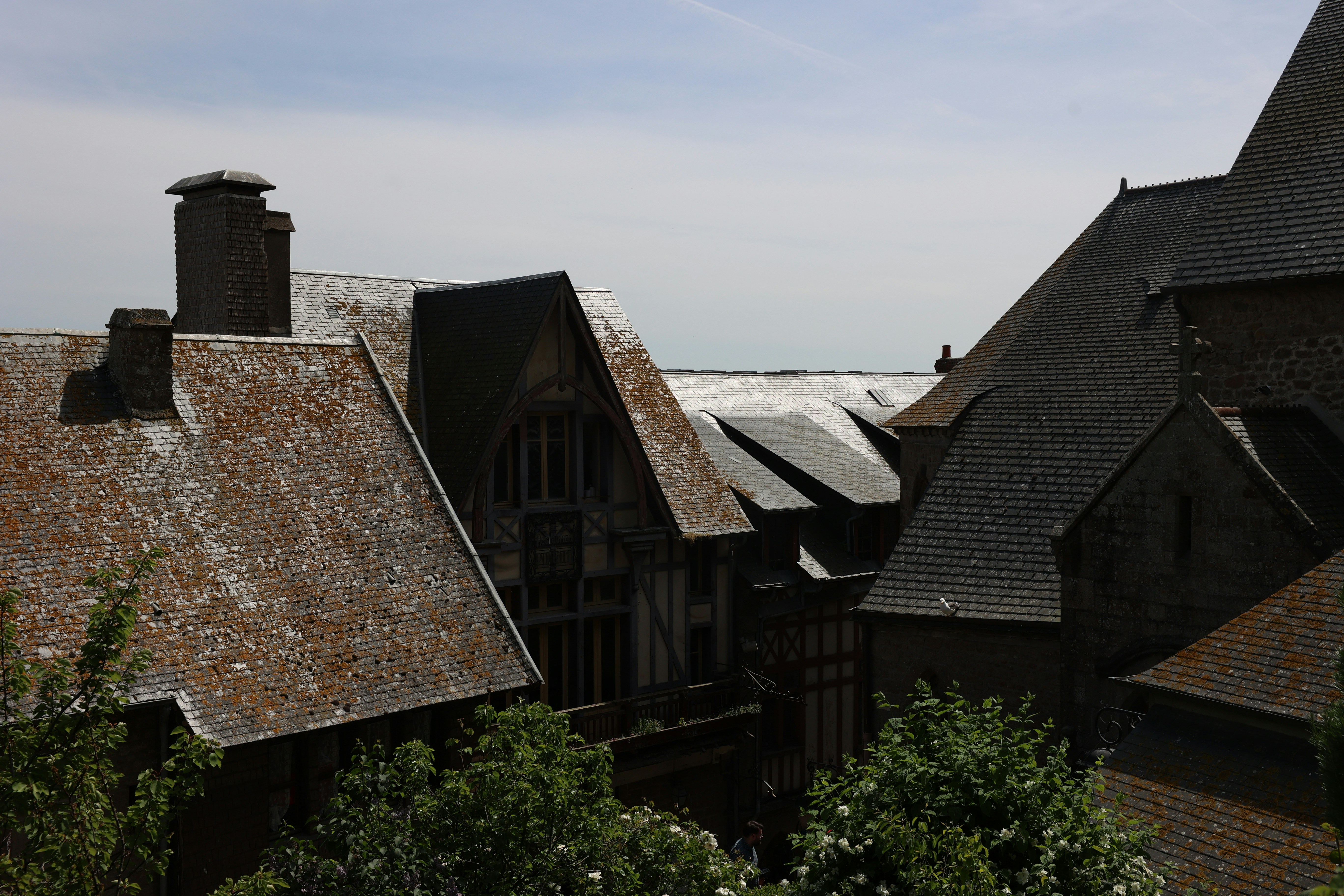 Courtyard Roofscape Between Timbered Gables
