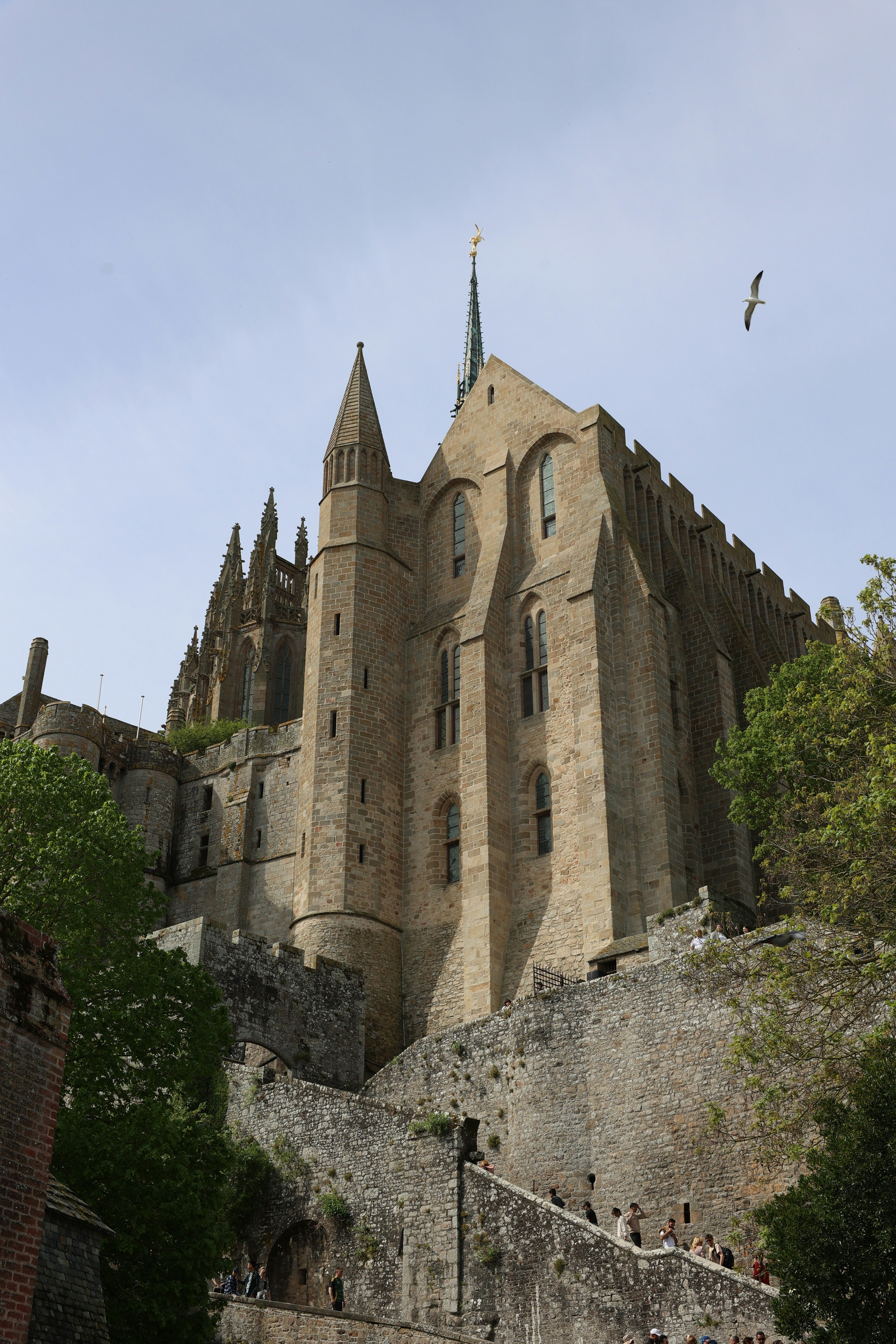 Castle Cathedral Overlook: The Monolithic Fortress Guarding the Cliff