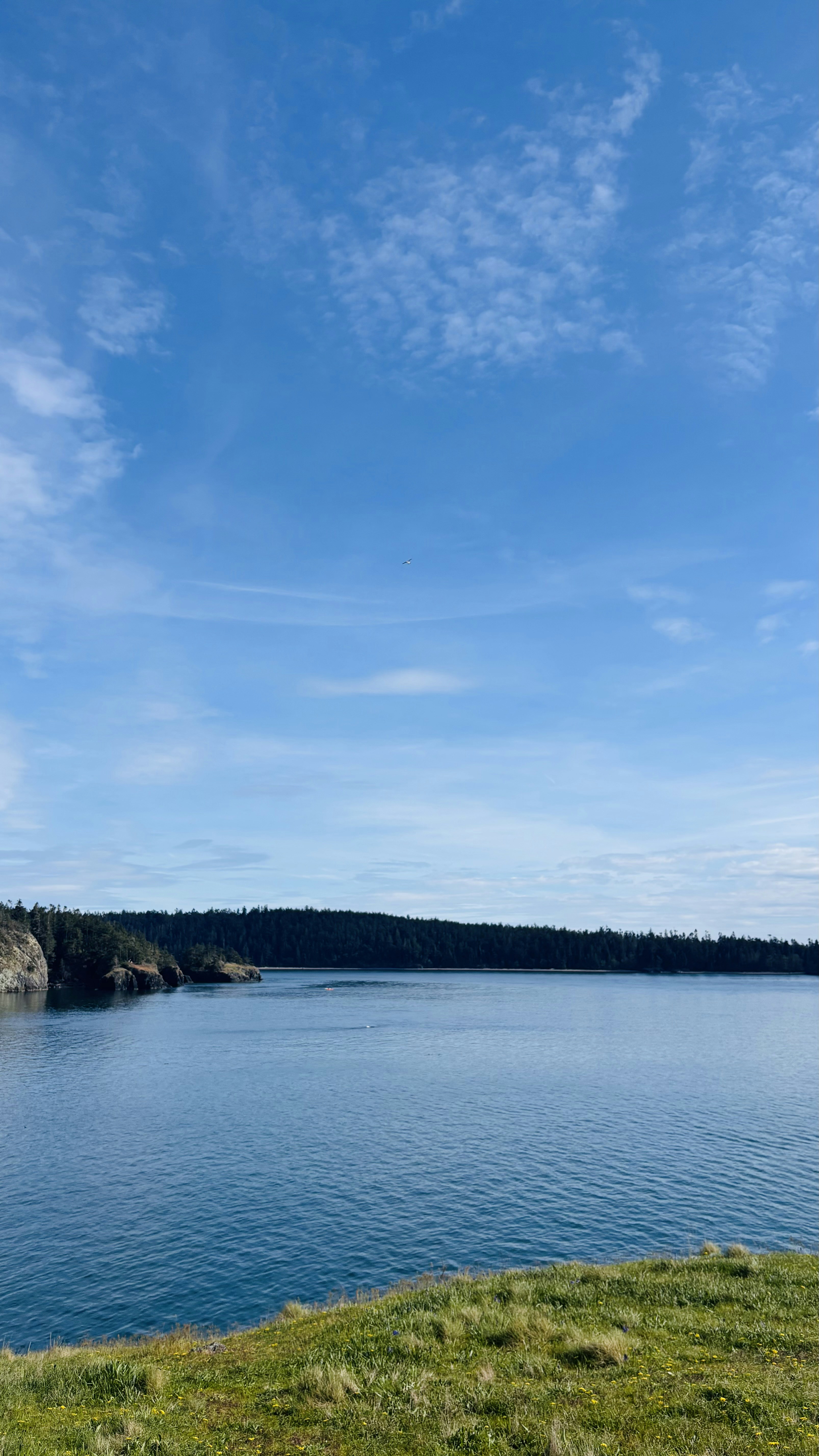 Blue Horizon Over Quiet Waters