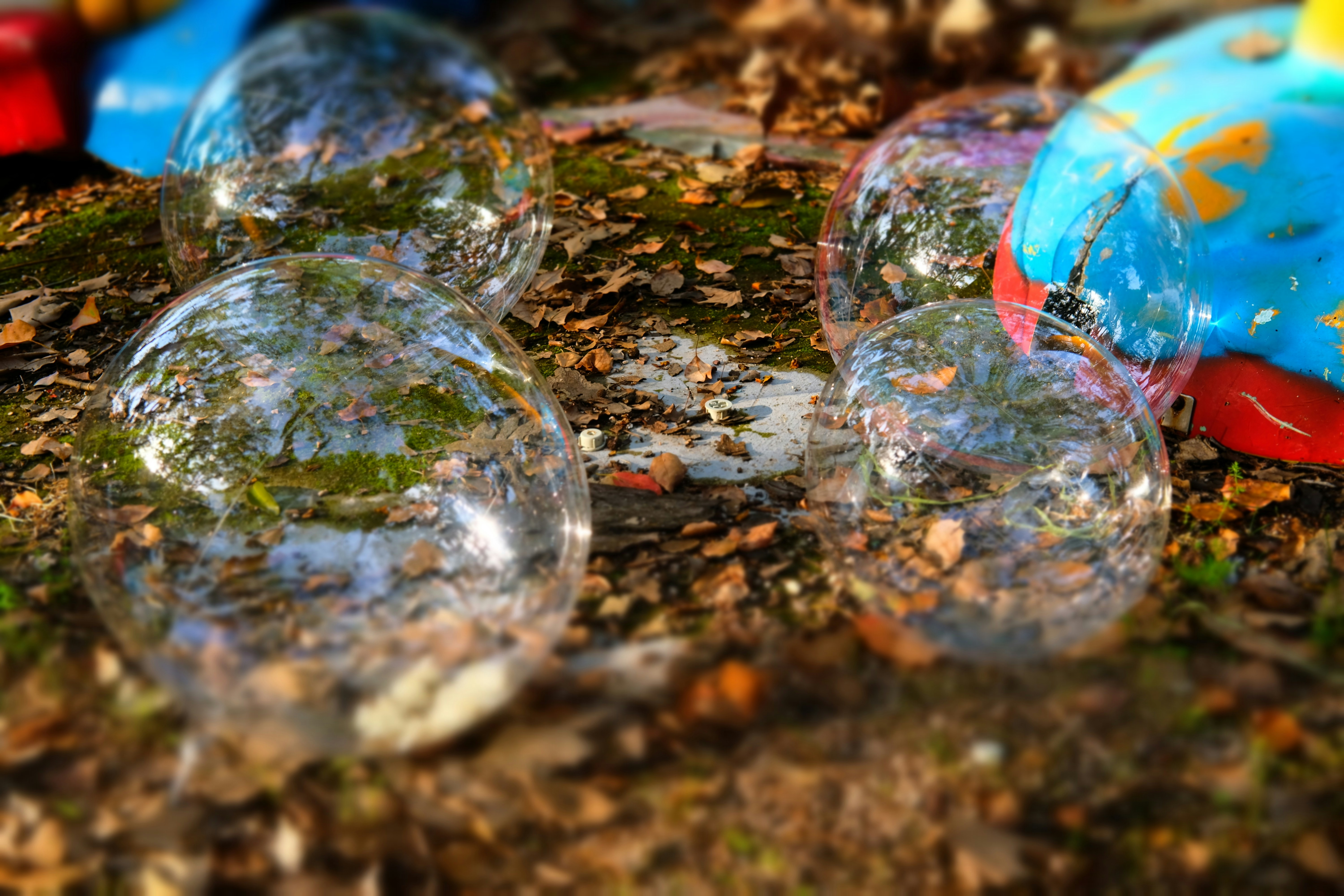 Bubbles on the Ground: Clear Orbs Reflect Autumn Garden Debris