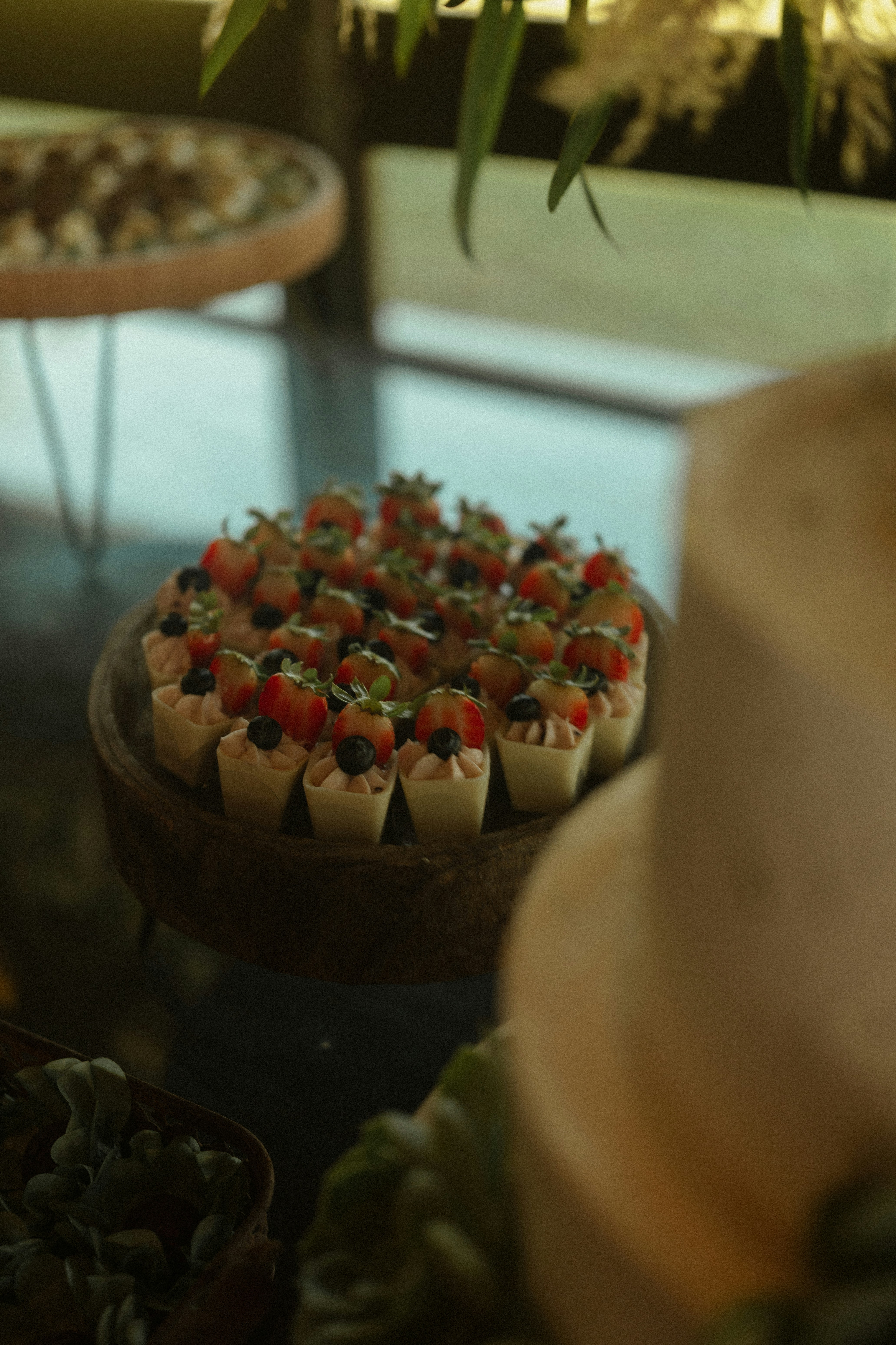 Assorted Tart Cups On a Wooden Tray Framed by Plant Shadow