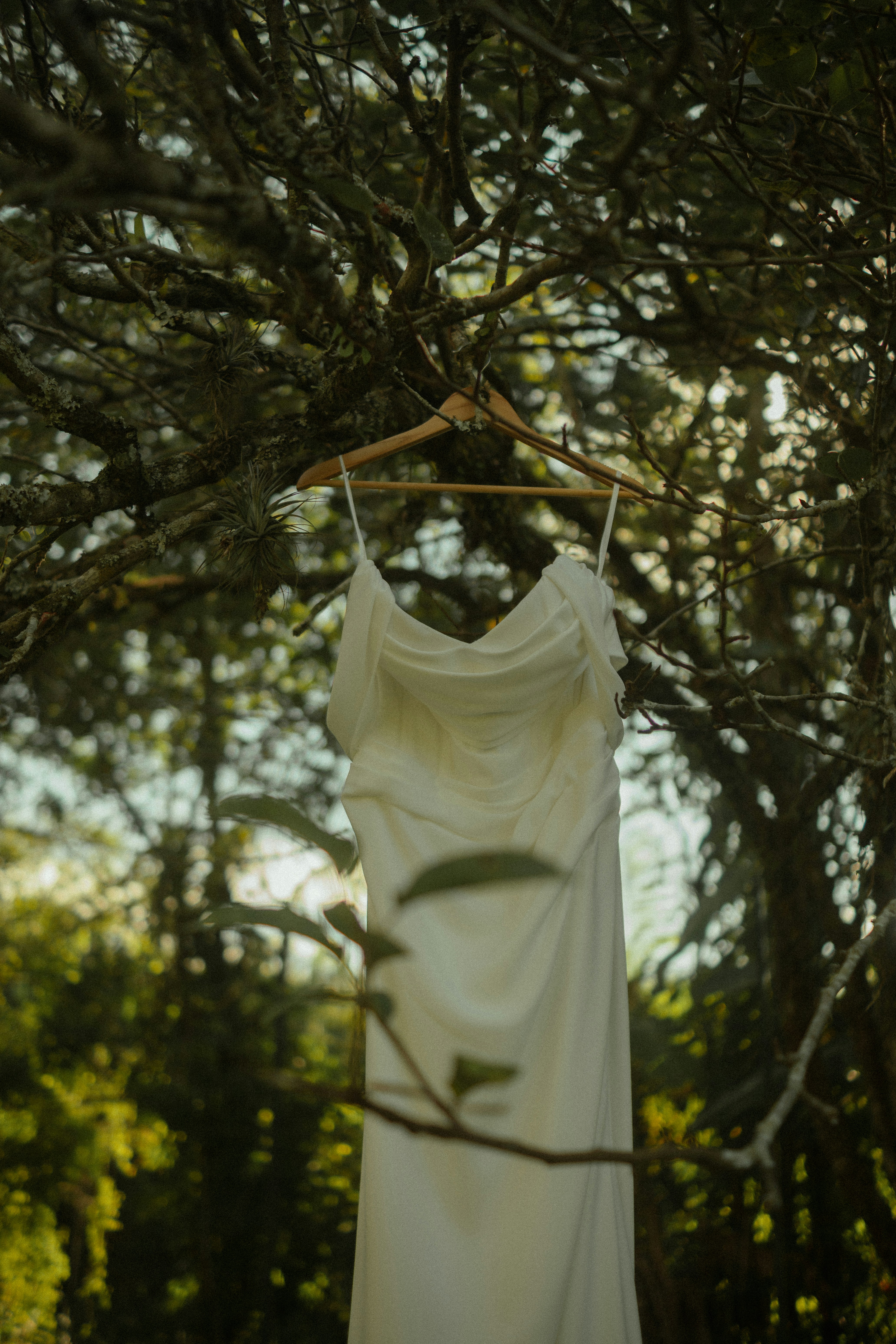 Whispering Silk: A Bridal Dress in a Forest Canopy