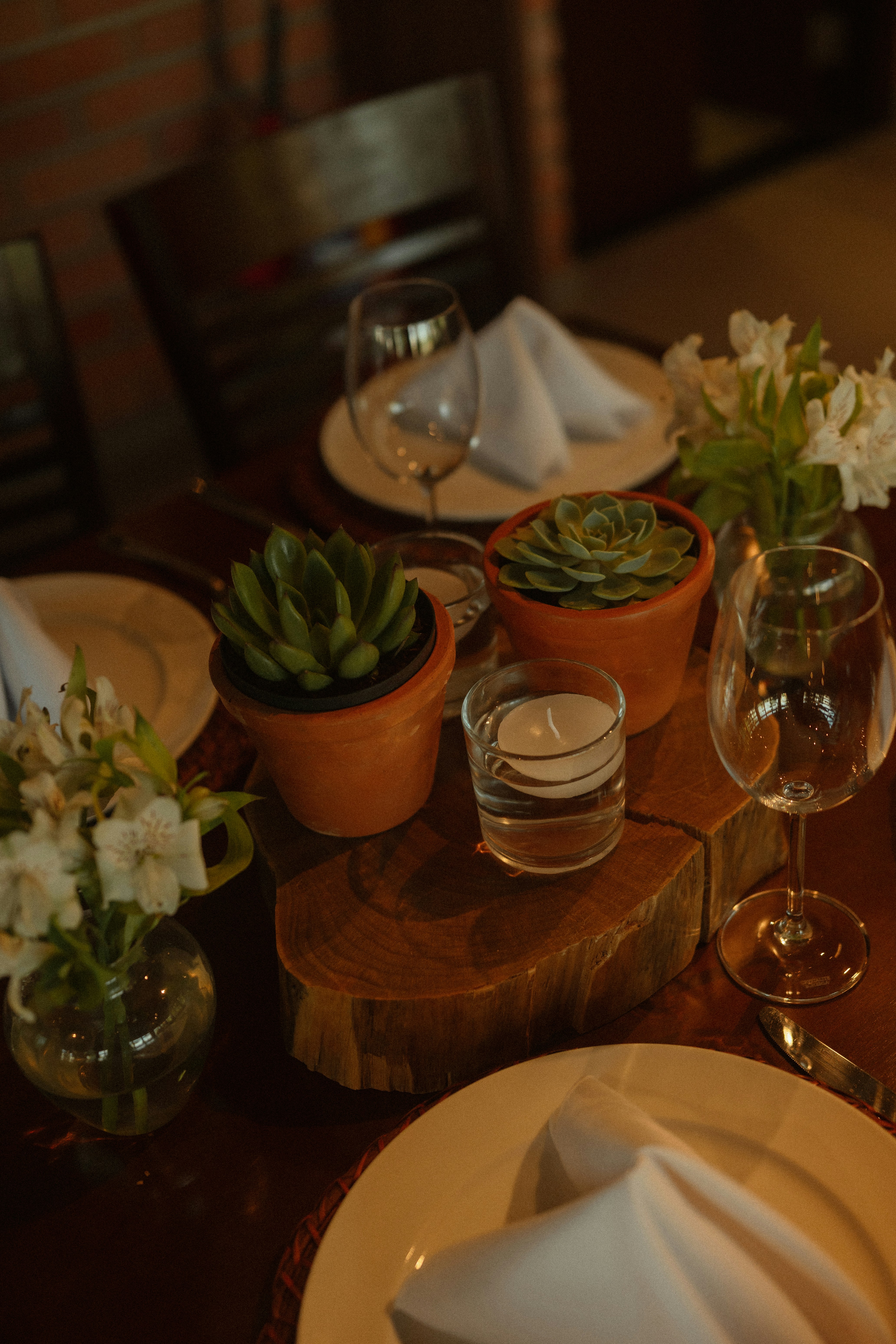 Succulent Centerpiece on Warm Dinner Table