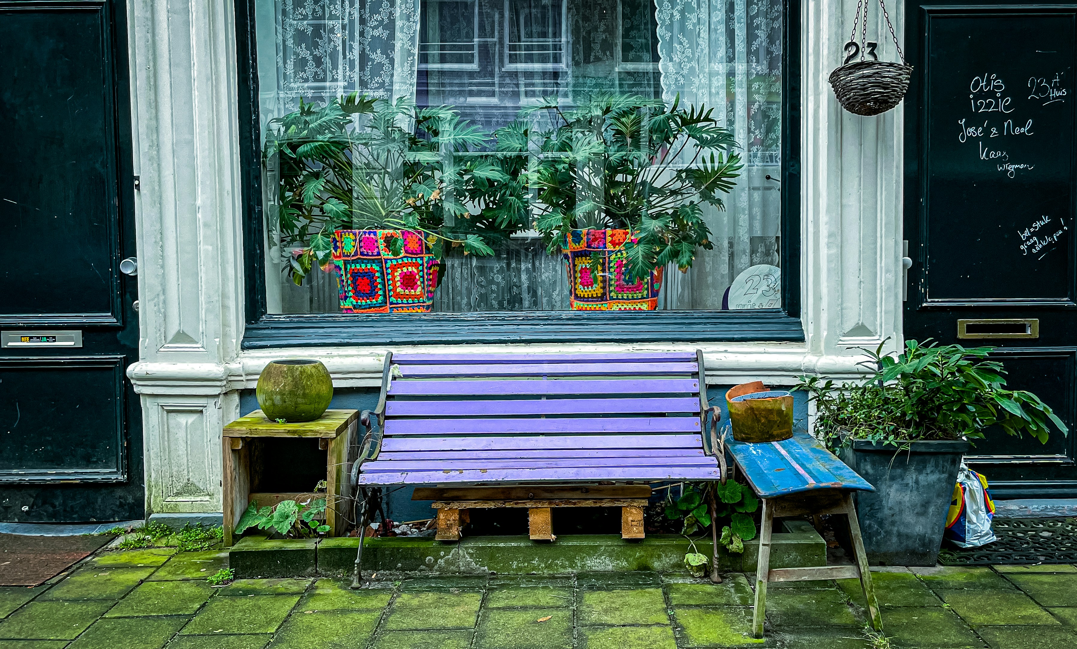 Purple Bench, Green Potted Scene: A Quiet Street Seating Moment