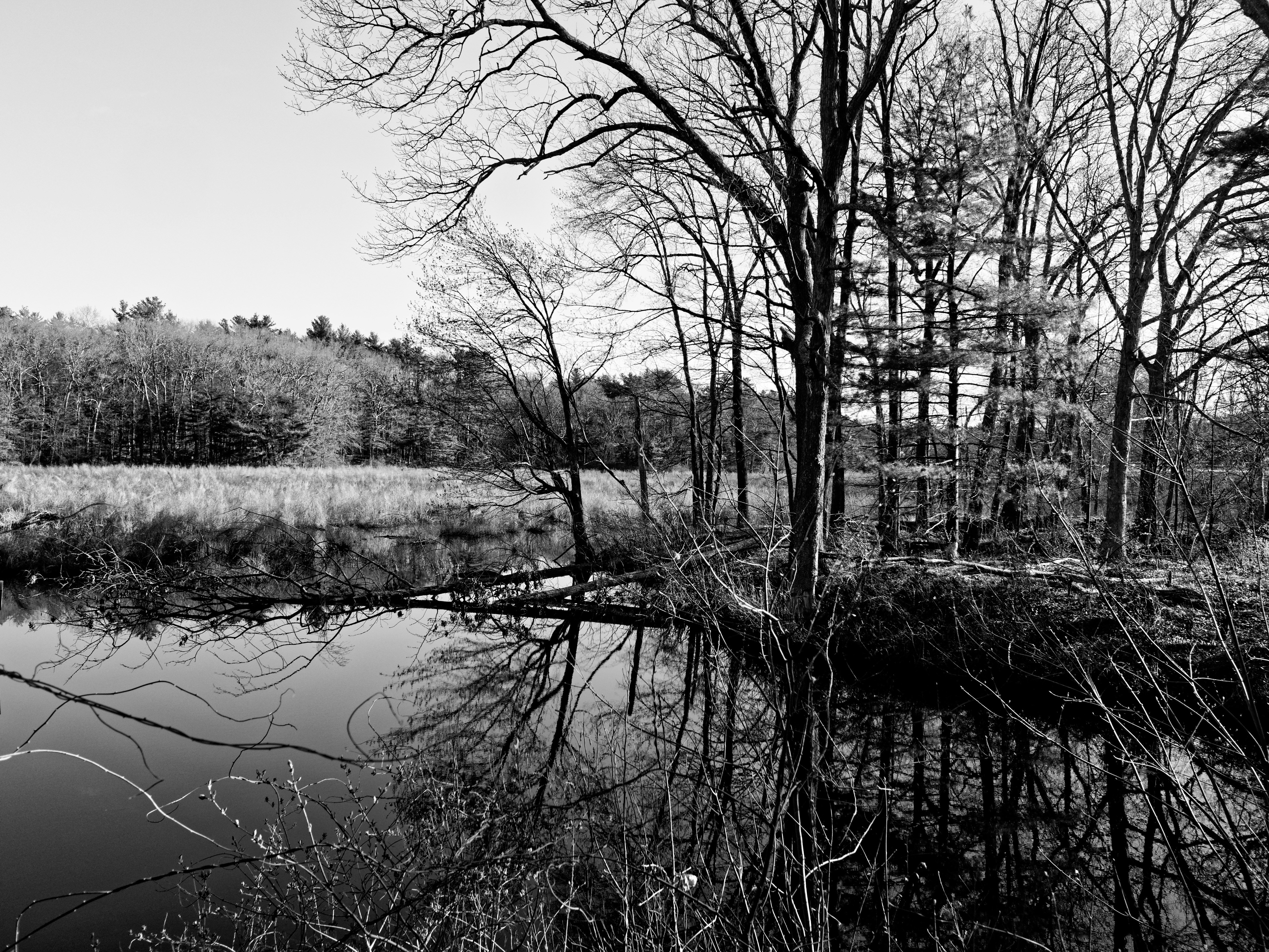 Reflections at the Riverbank: Winter Silence in Mono