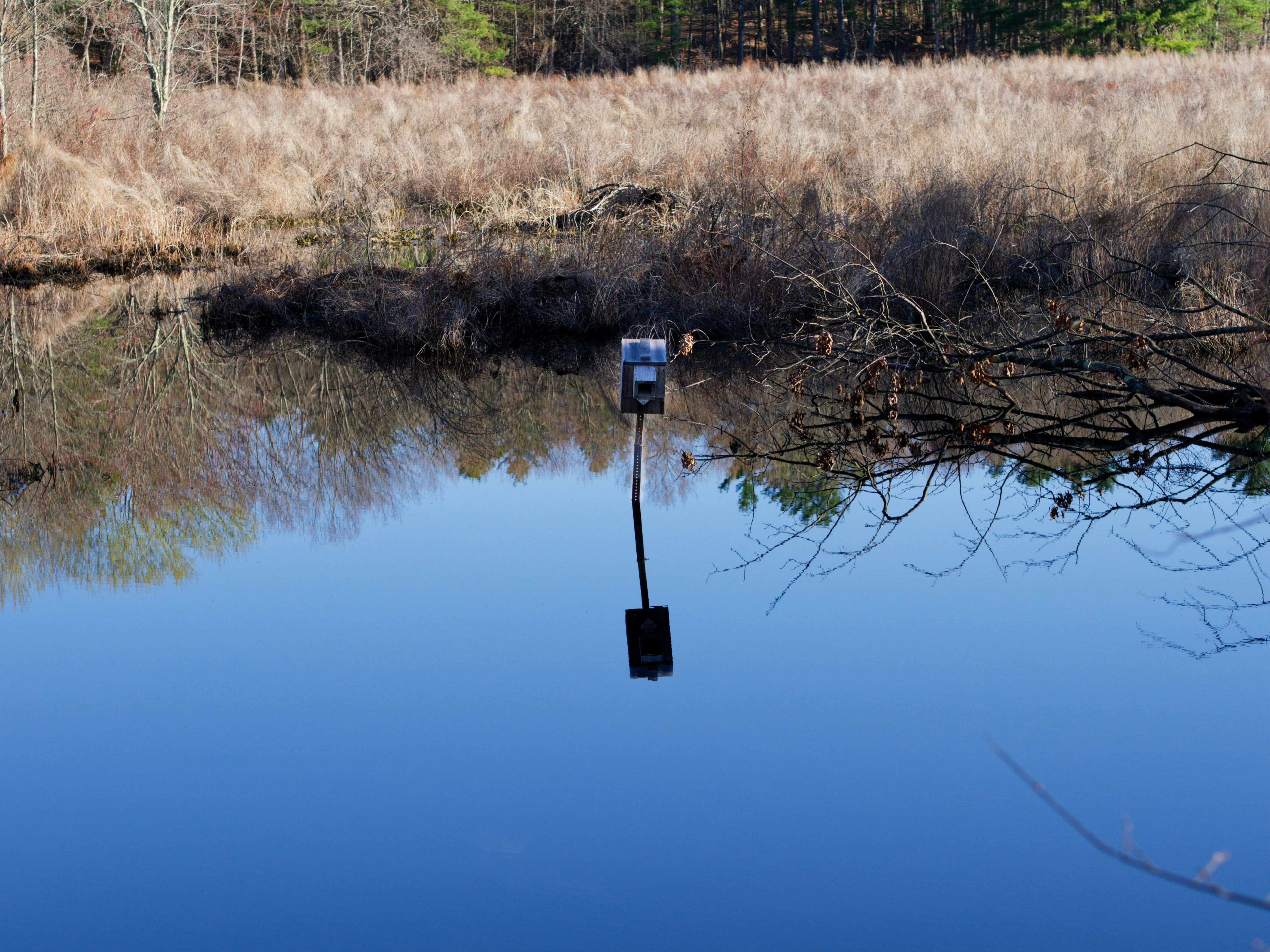 Stillness on a Glassy Lake: A solitary device Reaches for the Sky