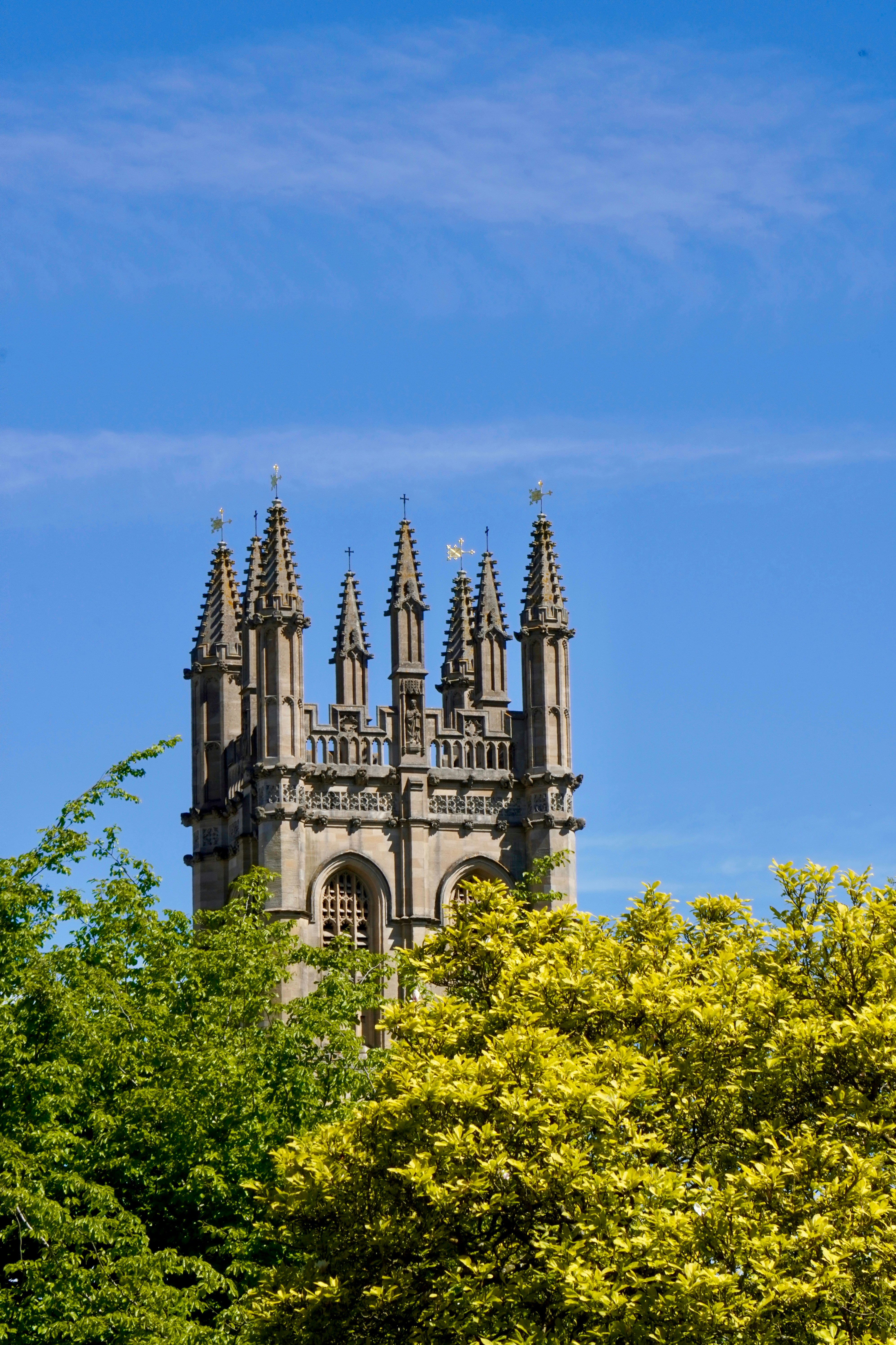 Gothic Tower Reaching Above a Autumn-Tinted Canopy