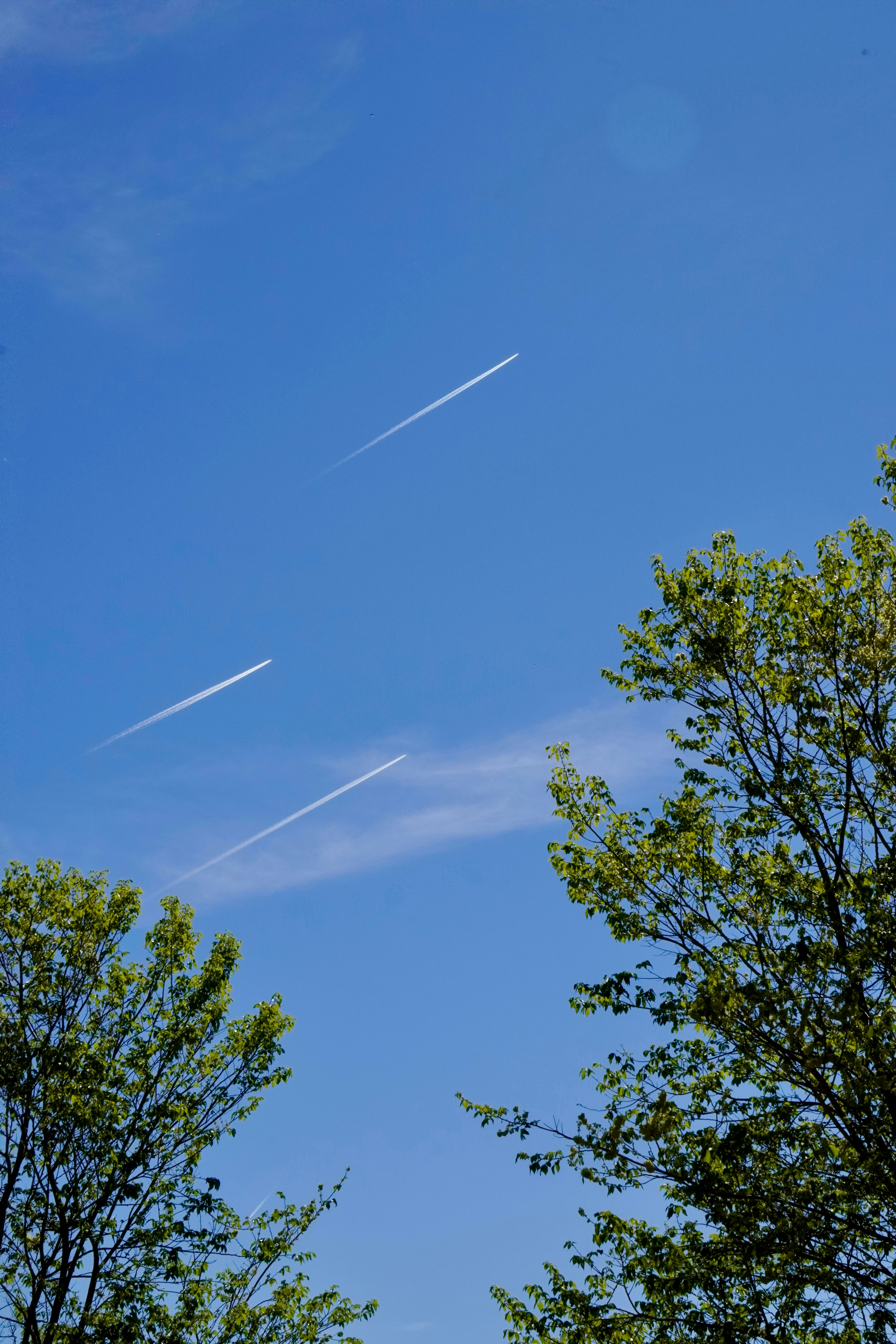 Three Contrails Cut Across a Spring Sky