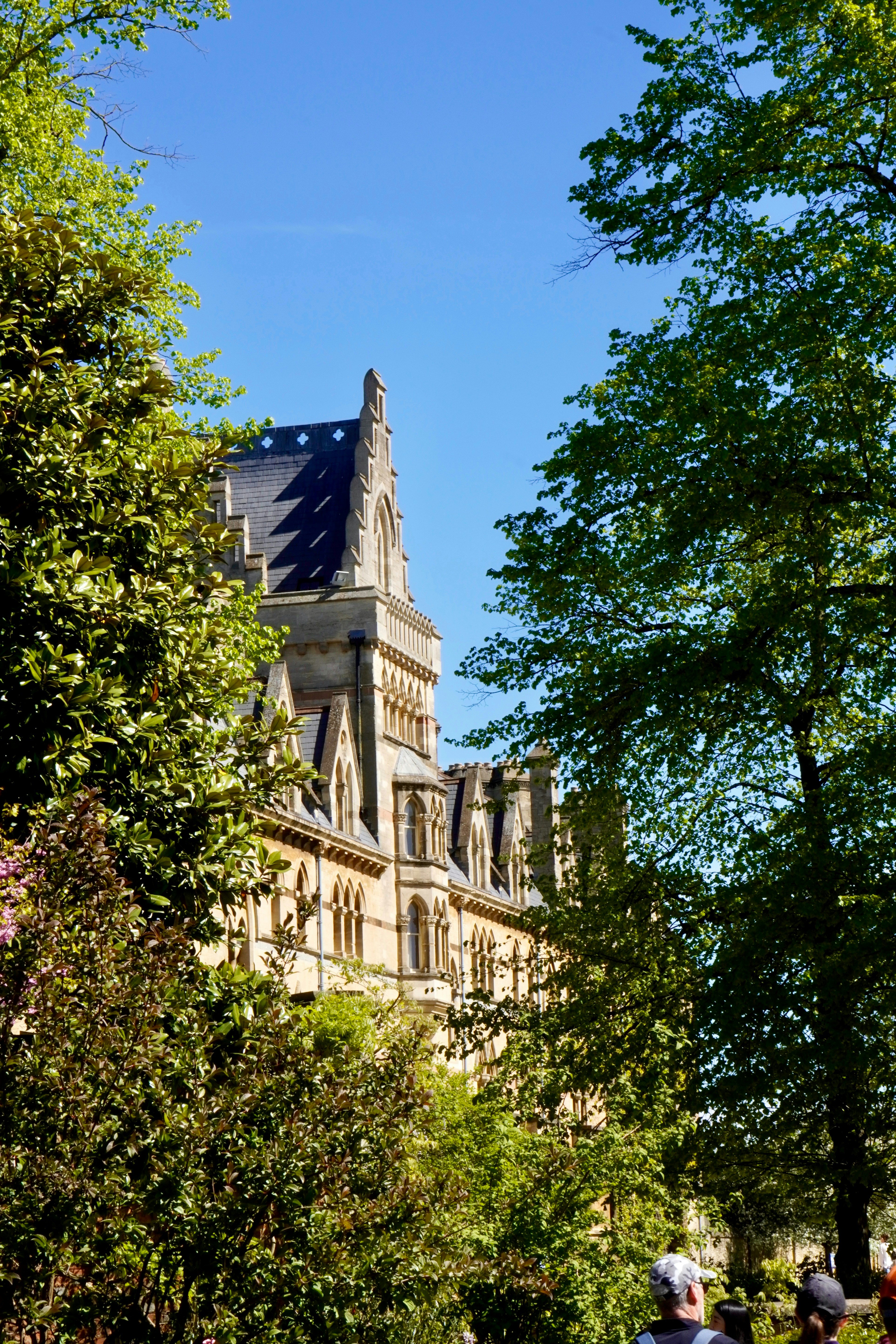 Gothic Facade Surrounded by Green Canopy