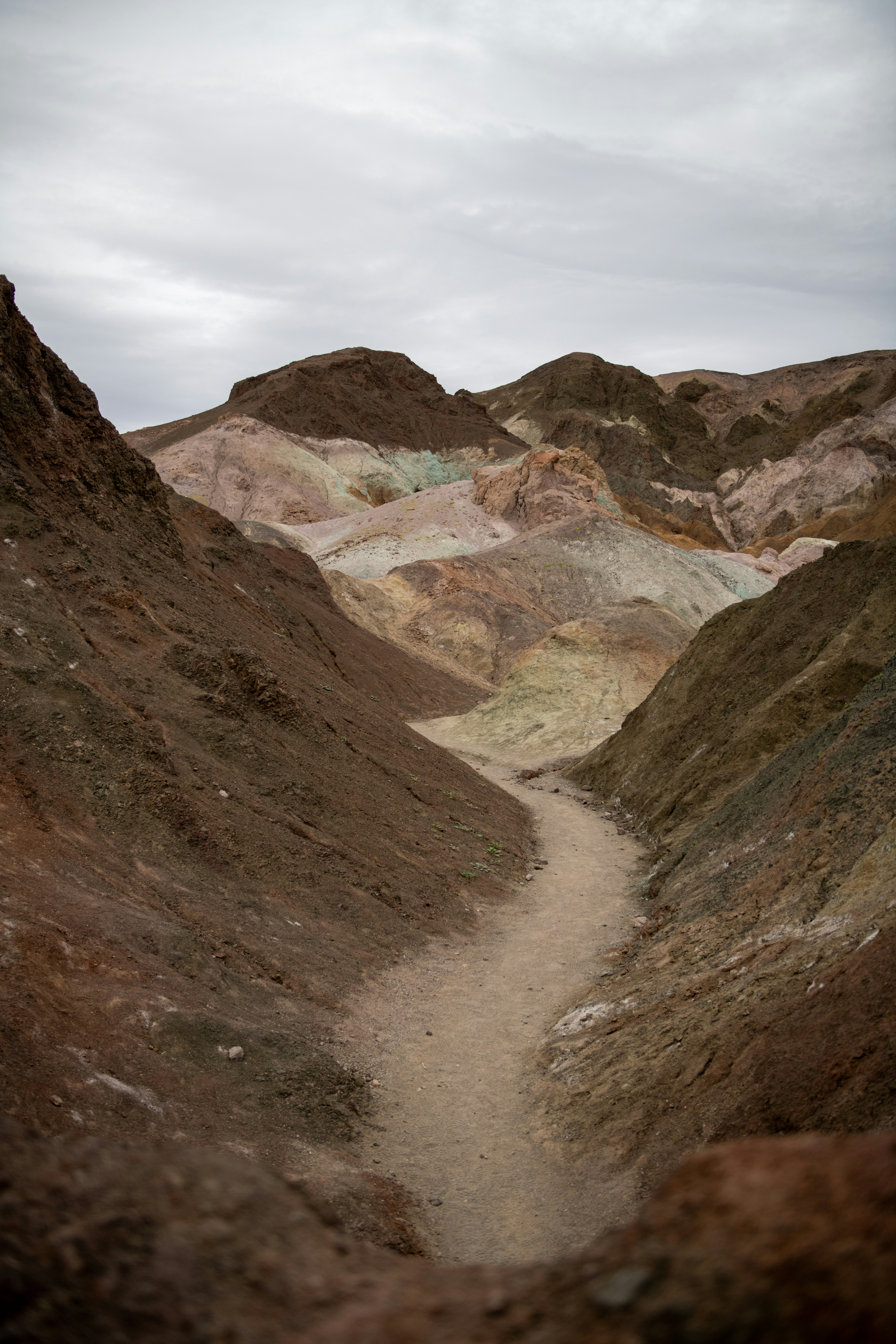 Trail Through a Painted Desert Ridge