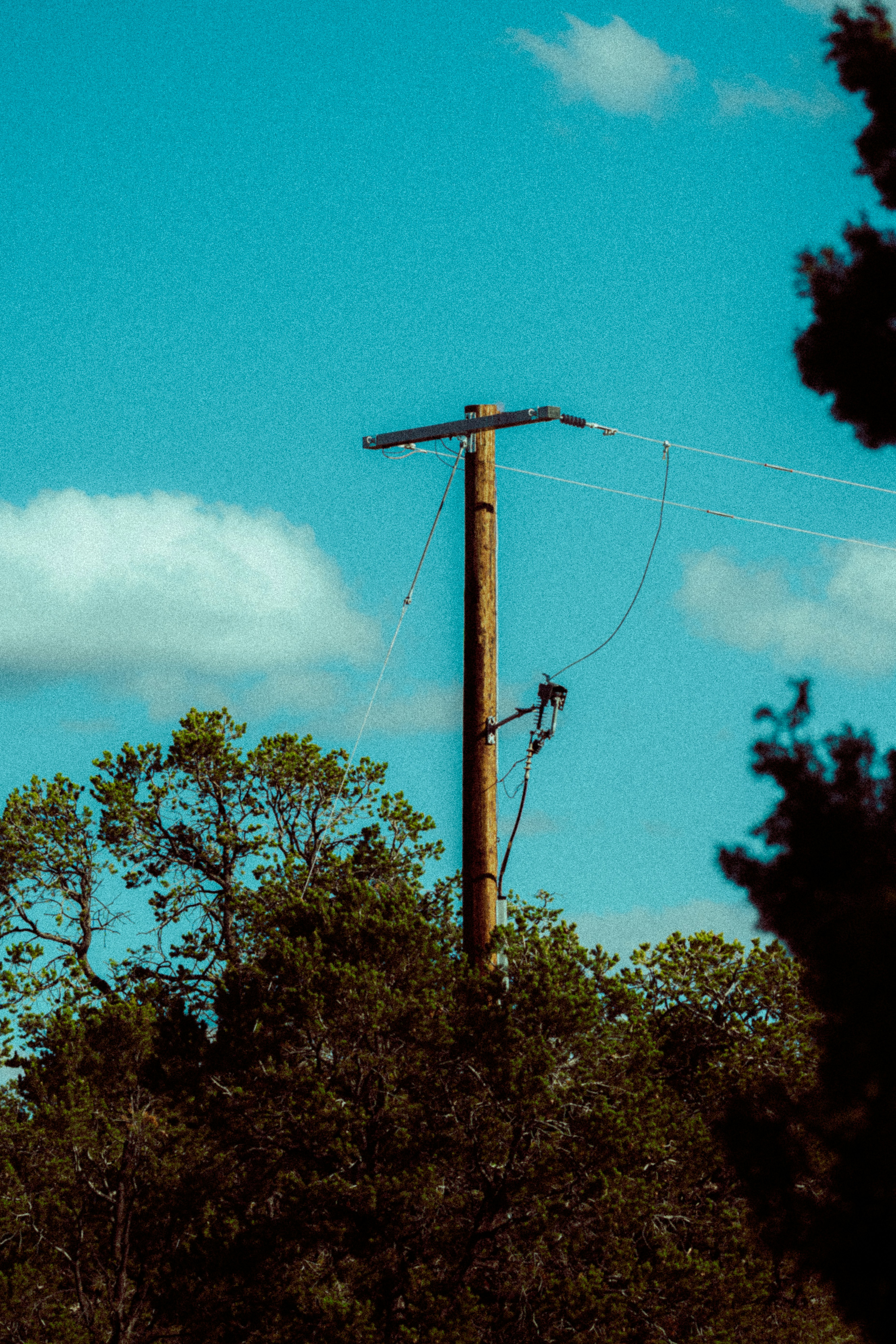 Telephone Pole Reaching Toward a Clear Sky