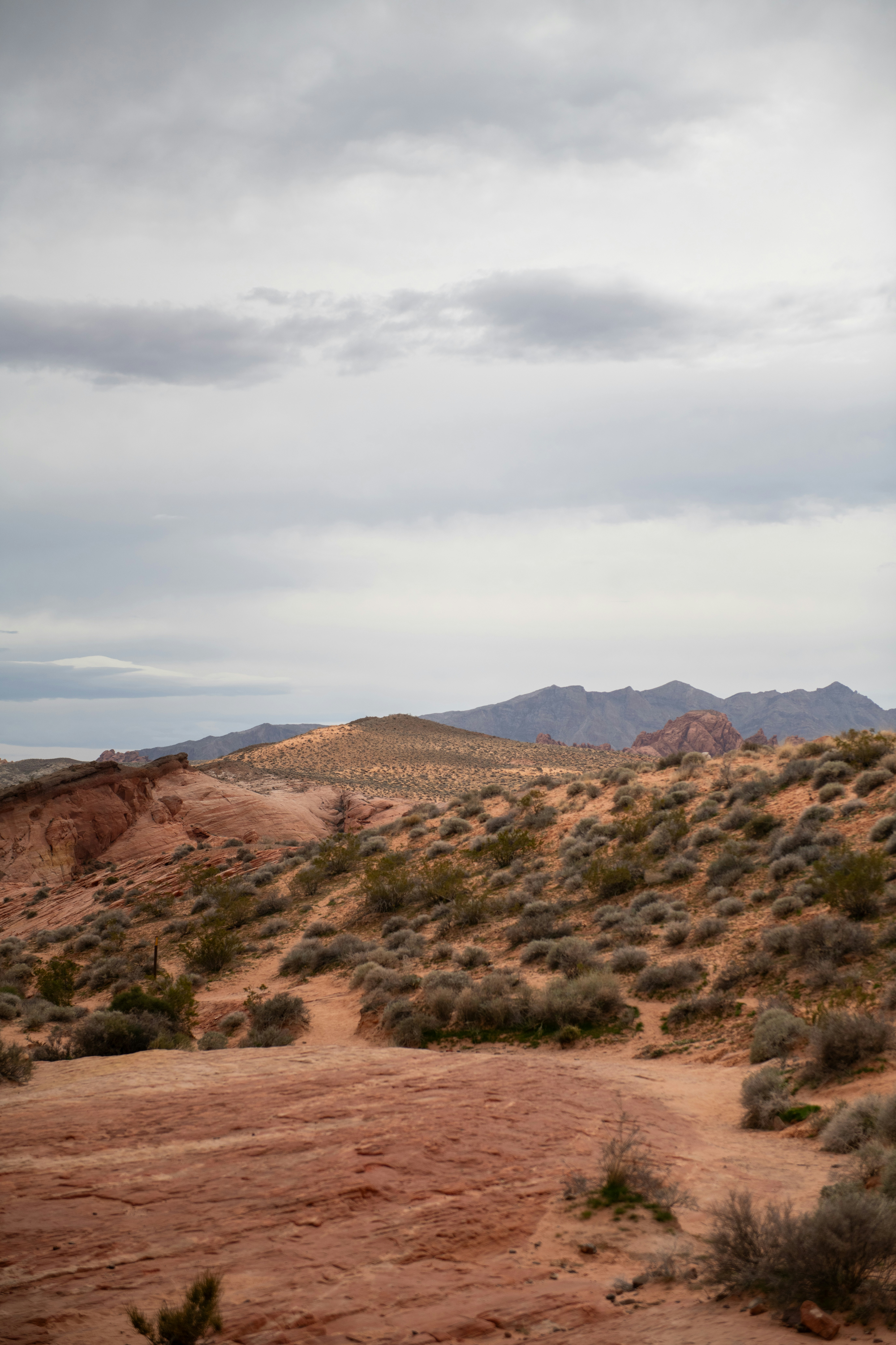 Desert Promenade: Weathered Red Rock Trail Toward Distant Ridges