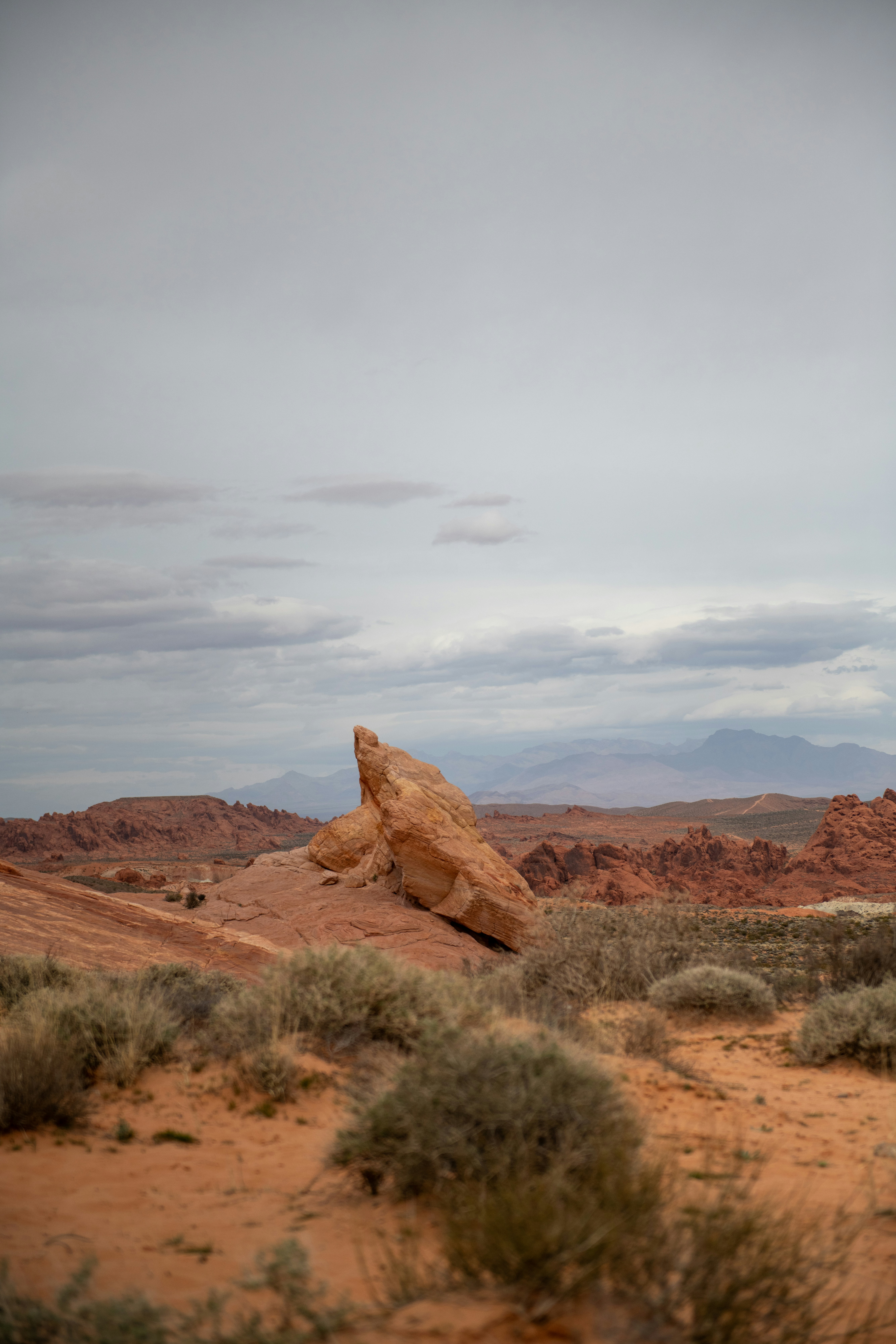 Stone Sentinel in a Desert Sea of Red