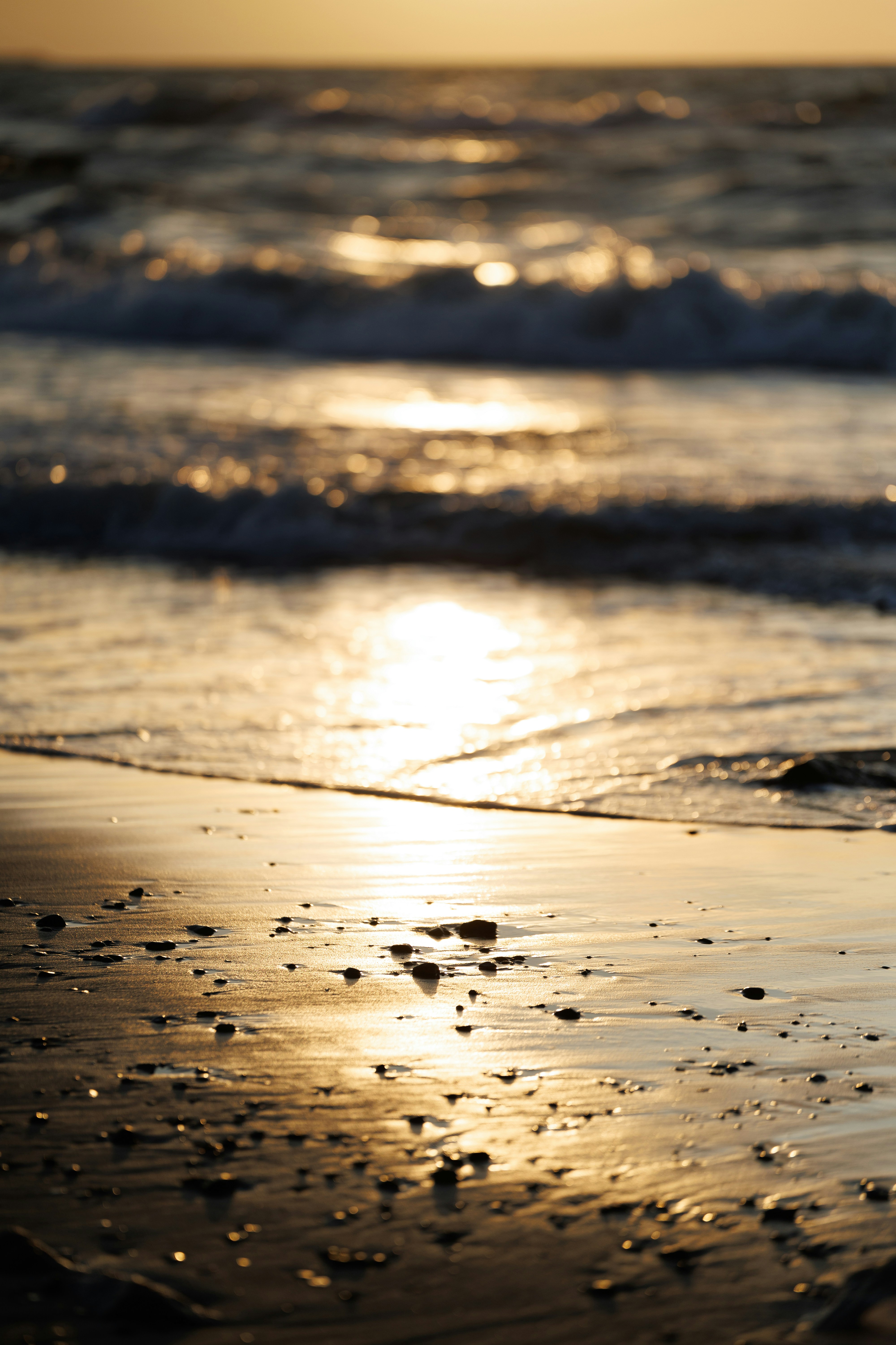 Golden Tide: Sunlit Shoreline at Dusk with Foaming Waves