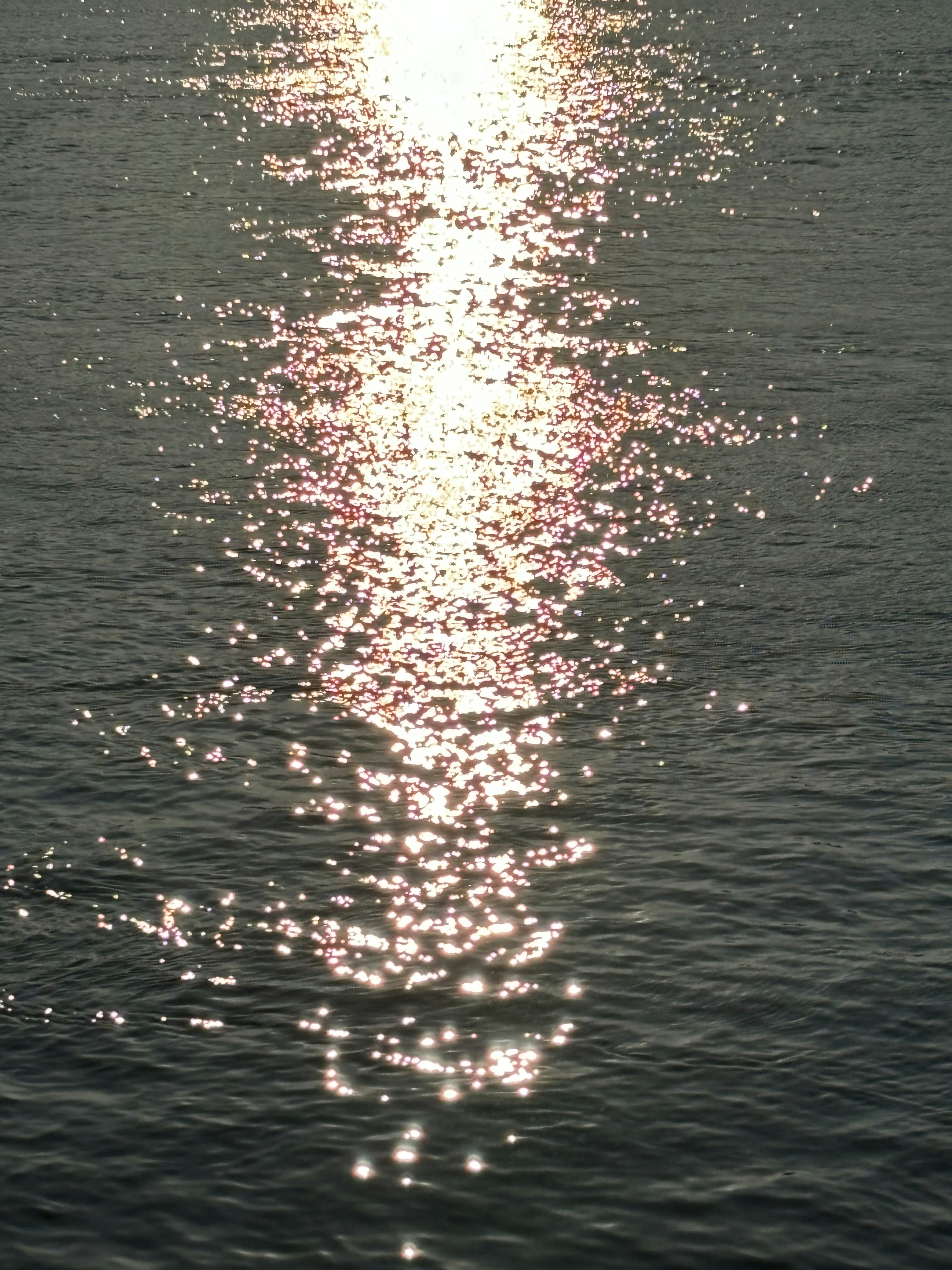 Radiant Path: Sunlit Reflection on a Glassy Sea