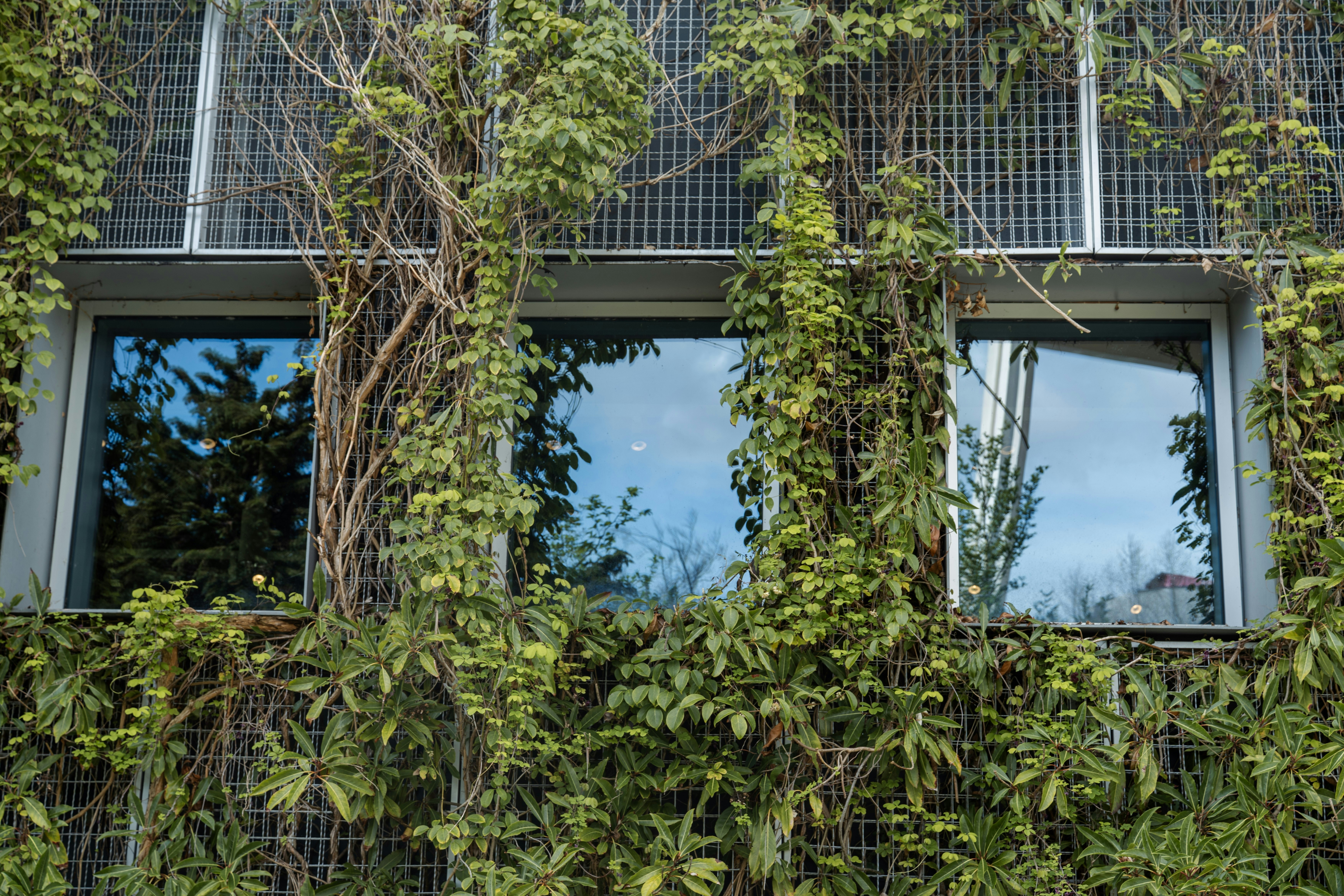 Green Veil Over a Modern Facade